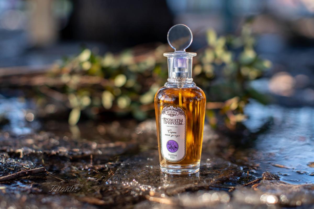 Сирень после дождя - Lilac After The Rain Brocard аромат — аромат для ...