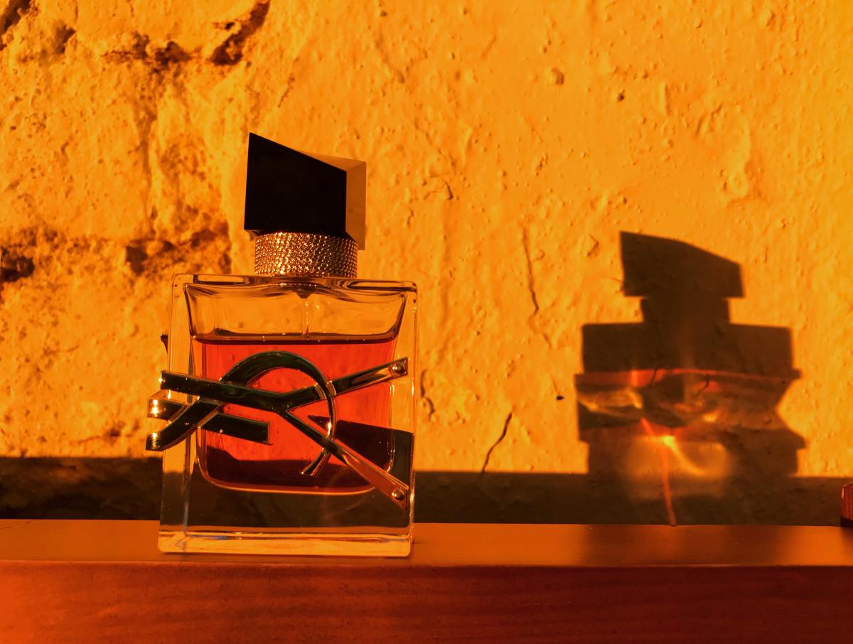 Libre Intense Yves Saint Laurent perfume - a new fragrance for women 2020