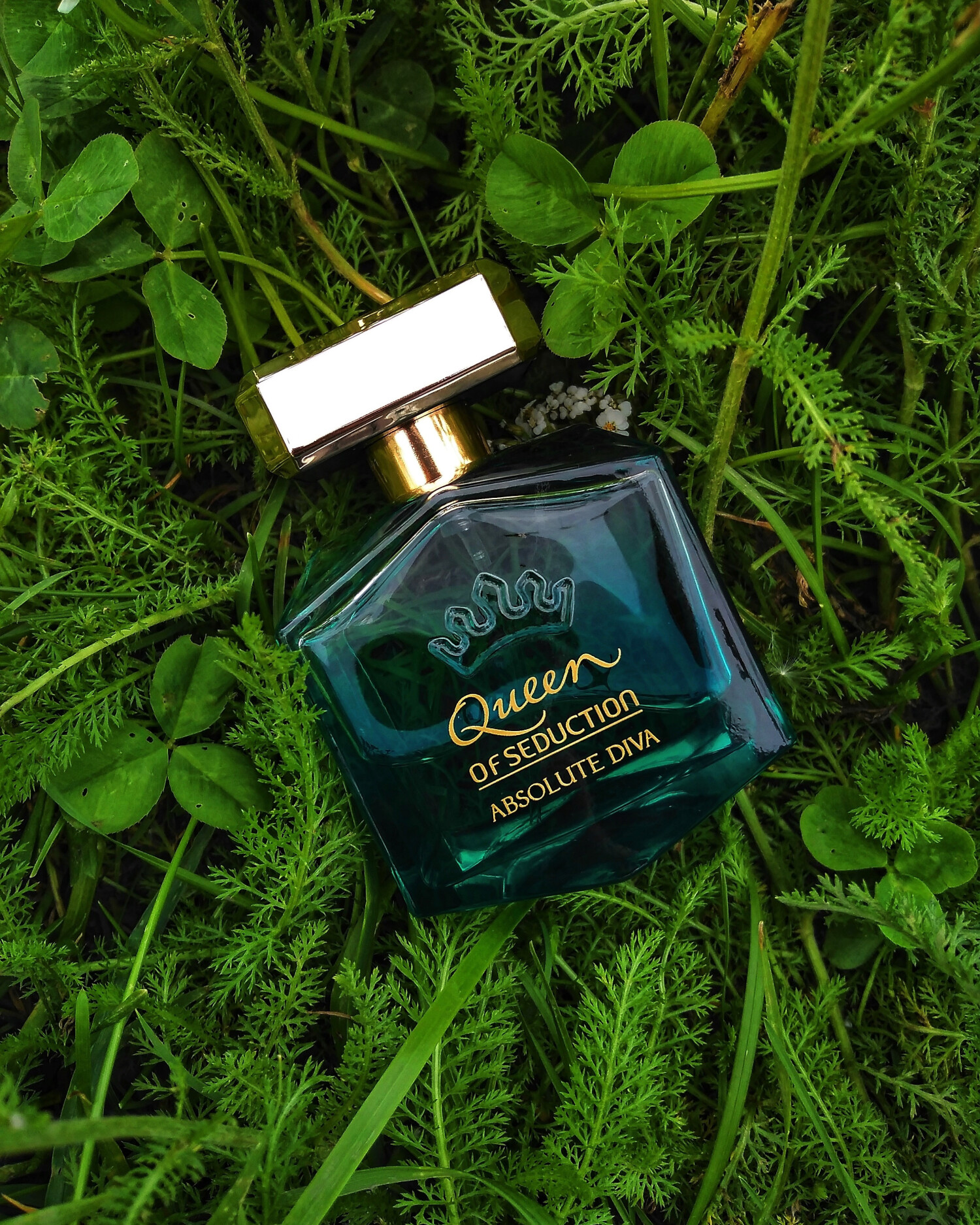 Queen Of Seduction Absolute Diva Antonio Banderas perfume - a fragrance ...