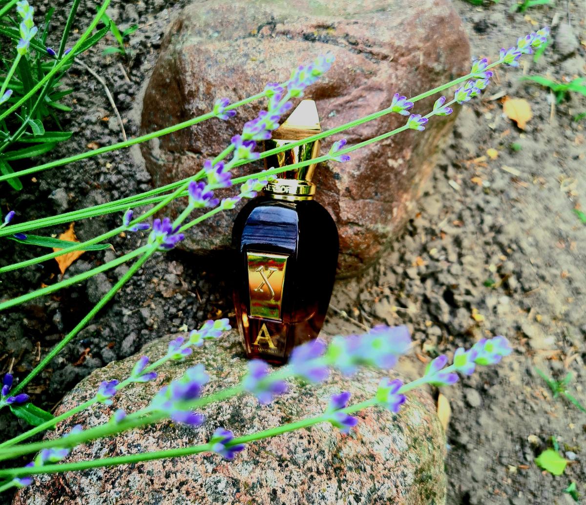 Alexandria II Xerjoff perfume - a fragrance for women and men 2012