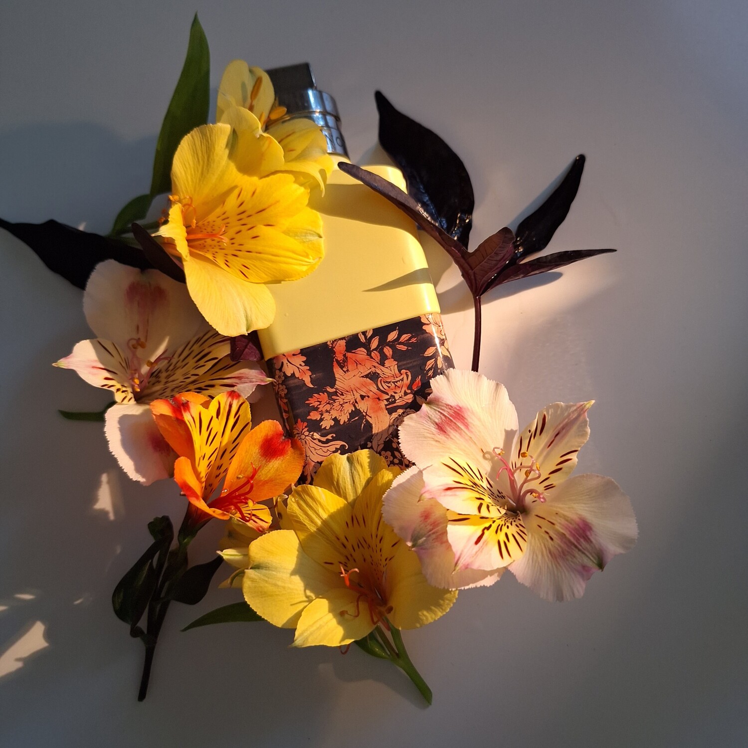 Bitter Splash Dries Van Noten perfume - a new fragrance for women and ...