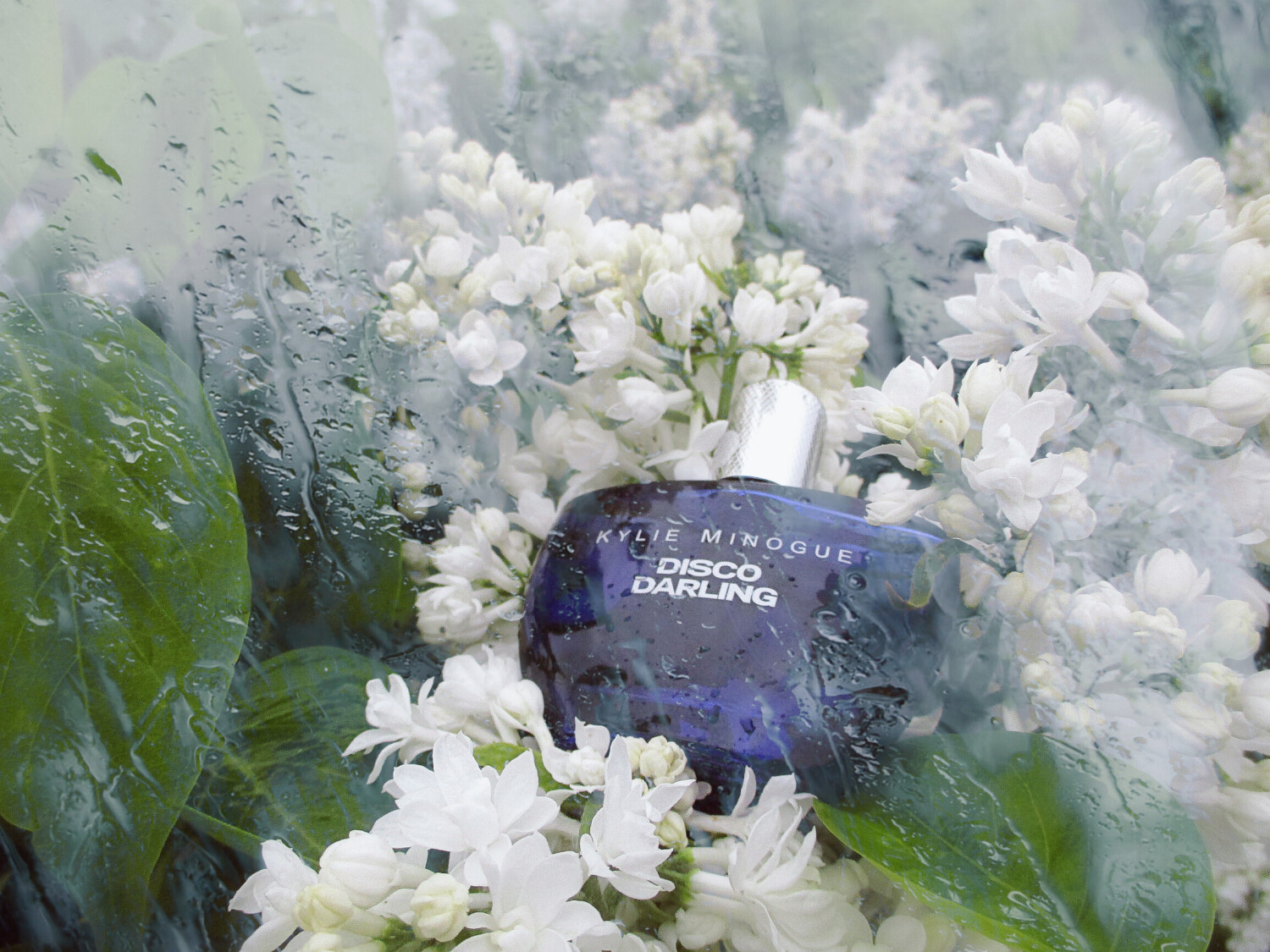 Disco Darling Kylie Minogue perfume - a fragrance for women 2022