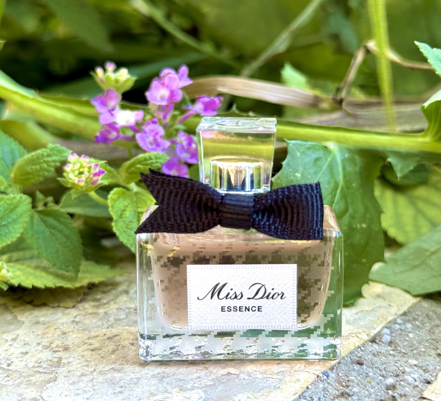 Miss Dior Essence Dior perfume - a new fragrance for women 2025