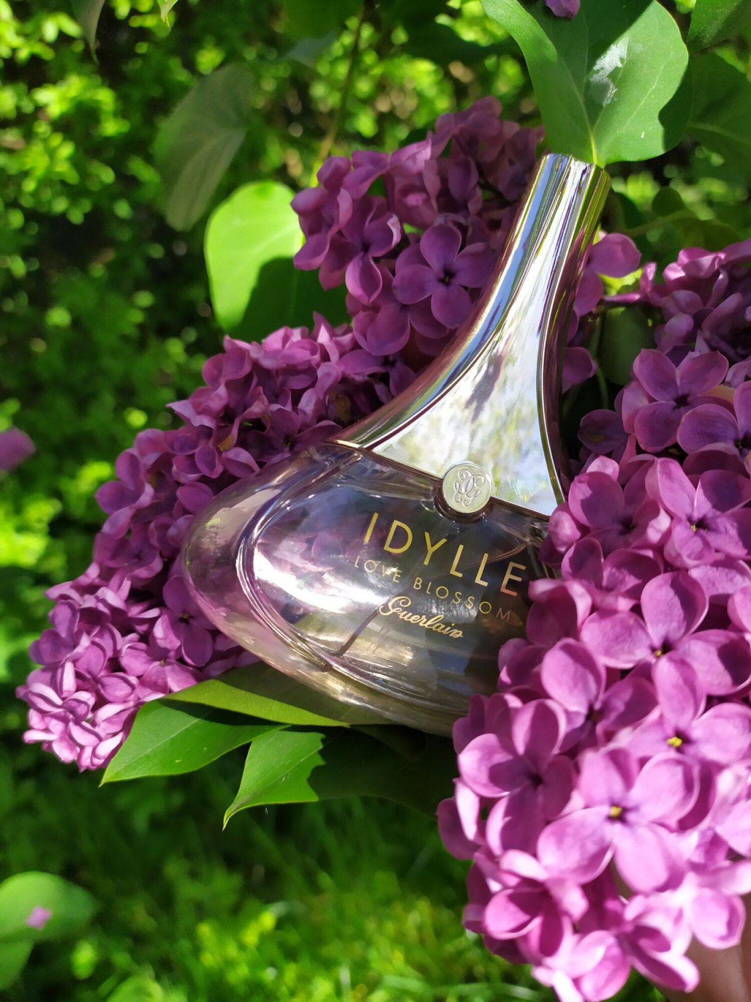 Idylle Love Blossom Guerlain perfume - a fragrance for women 2014