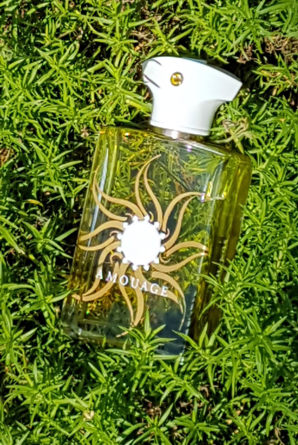 Sunshine Man Amouage cologne - a fragrance for men 2015