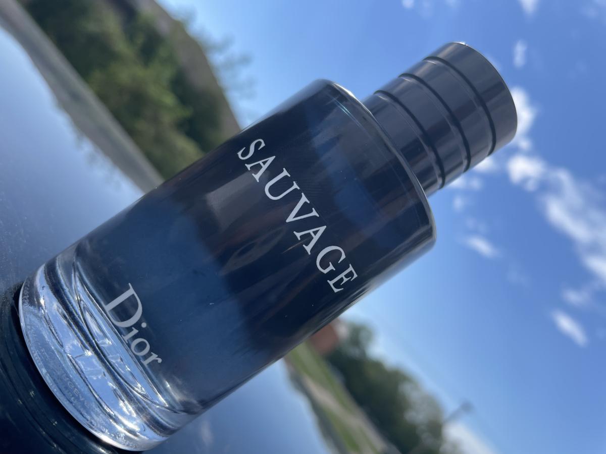 Sauvage Dior cologne - a fragrance for men 2015