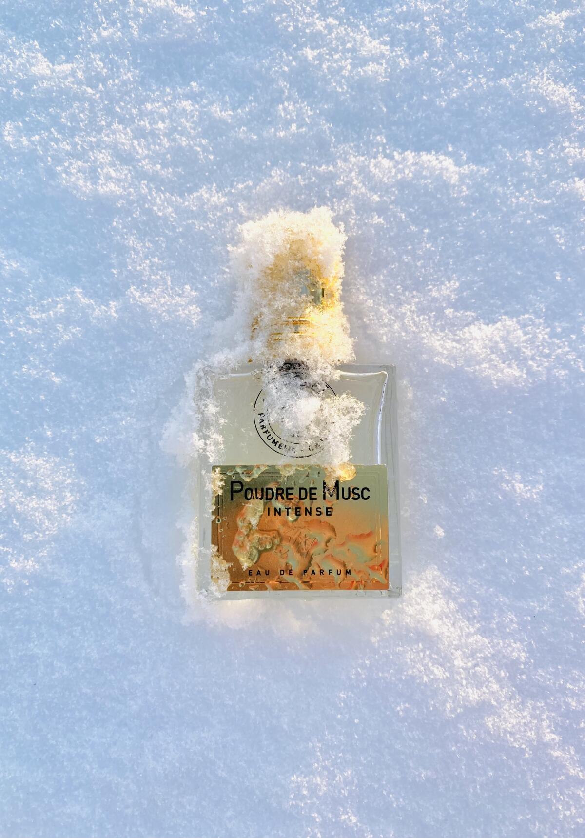 Poudre de Musc Intense Nicolai Parfumeur Createur fragancia - una ...