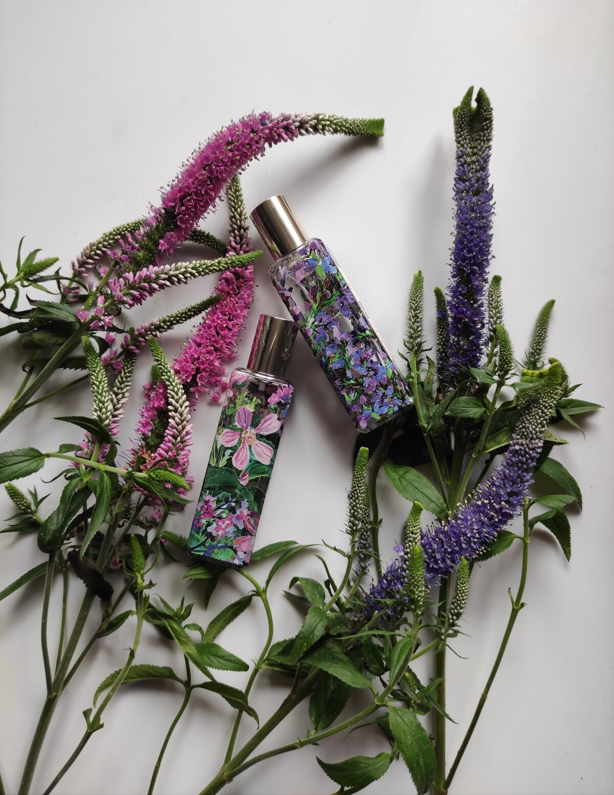 Mallow on the Moor Jo Malone London perfume - a fragrance for women and ...