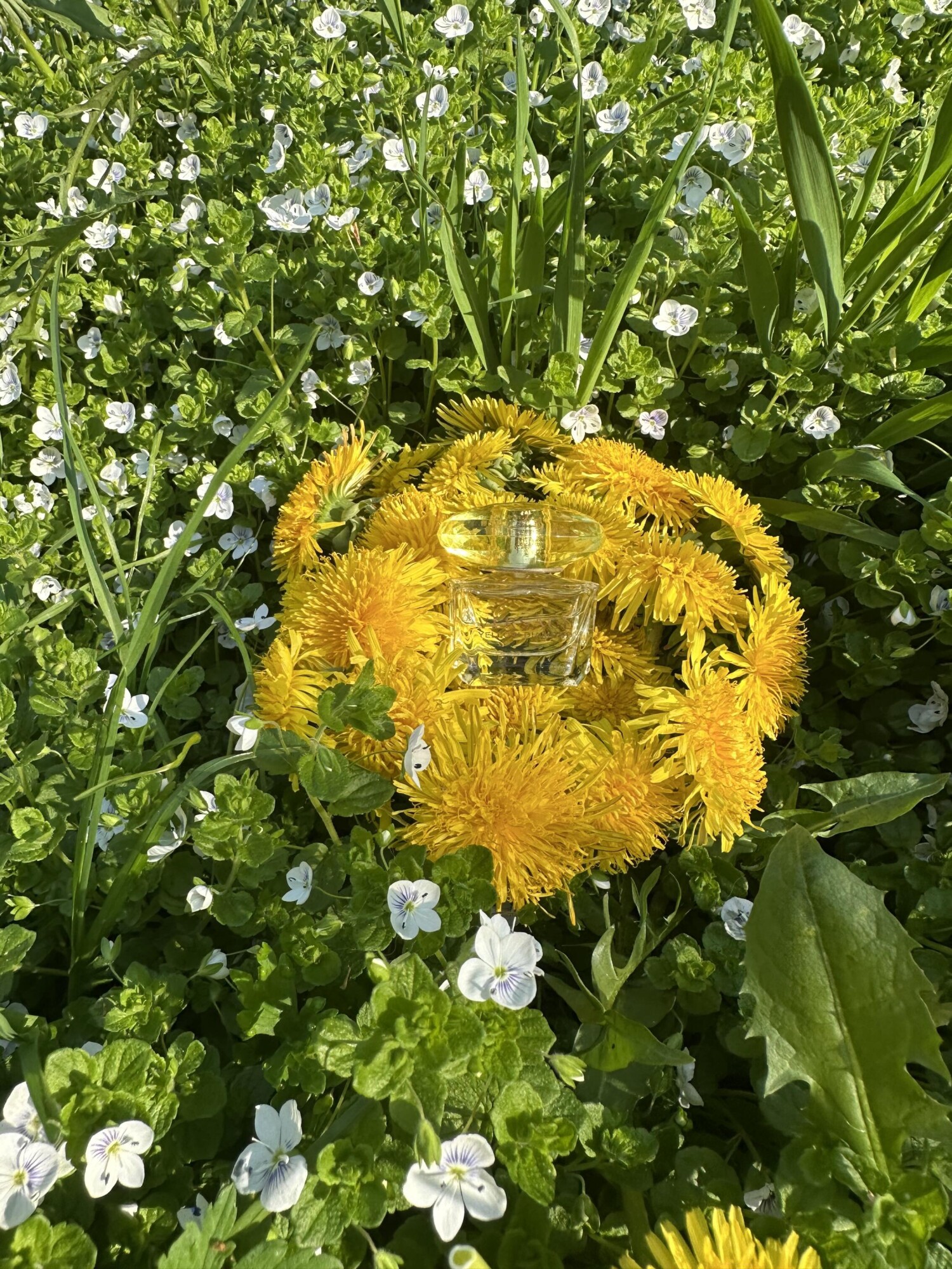 Yellow Diamond Versace perfume - a fragrance for women 2011