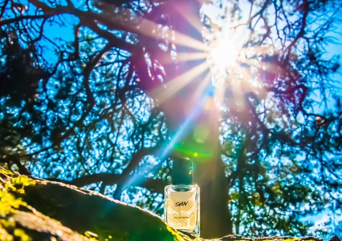 Sun Lush perfume - a fragrance for women and men 2013