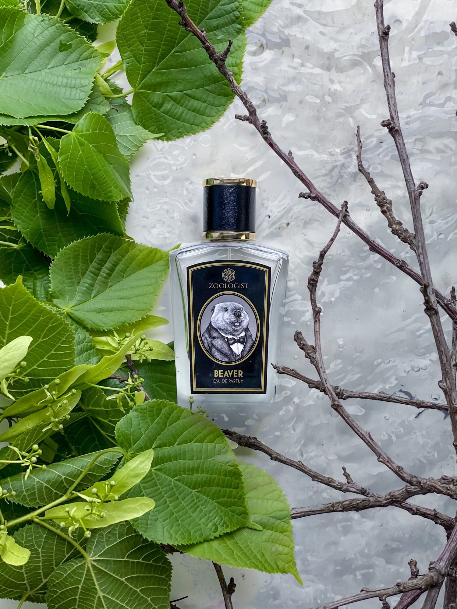 Beaver Edition 2016 Zoologist Perfumes perfume - a fragrance for women ...