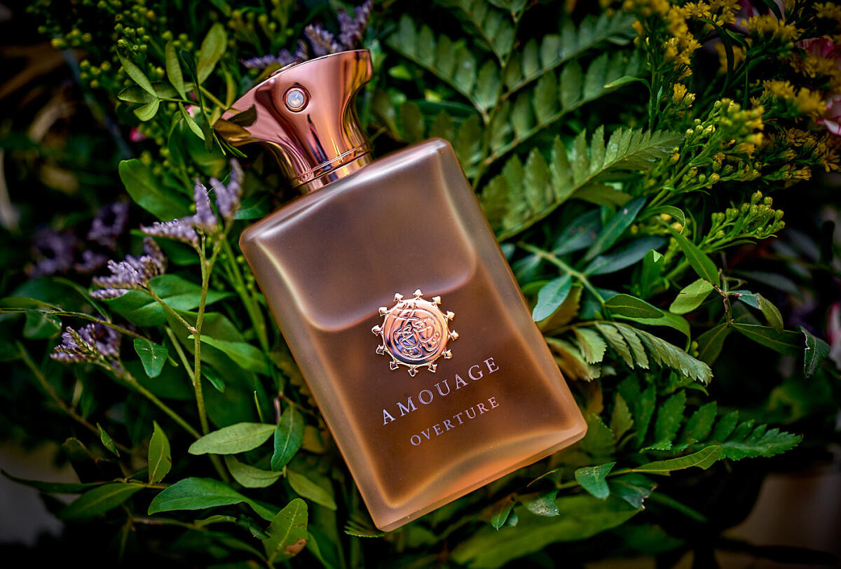 Overture Man Amouage cologne - a fragrance for men 2019