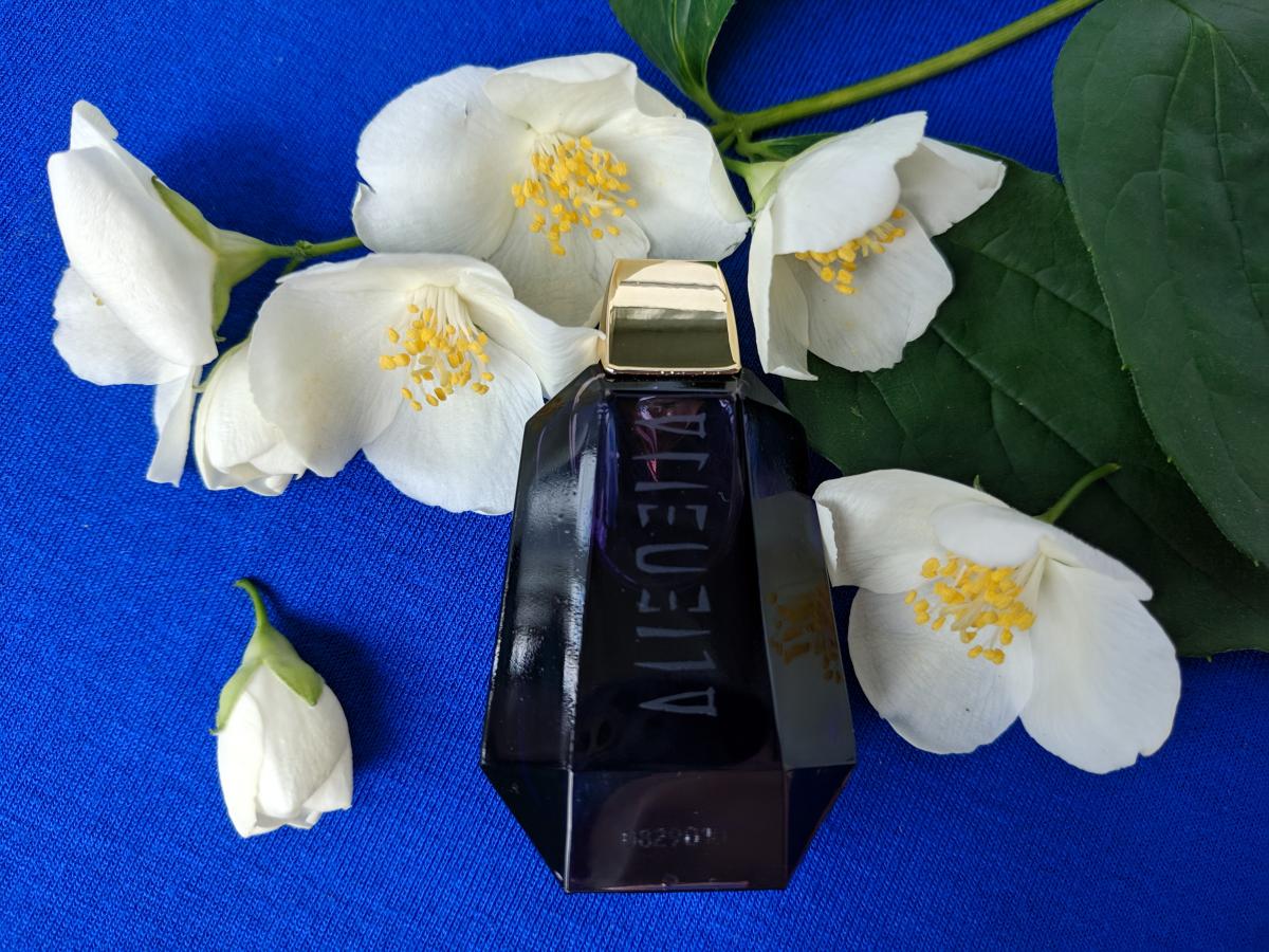 Alien Mugler fragancia - una fragancia para Mujeres 2005