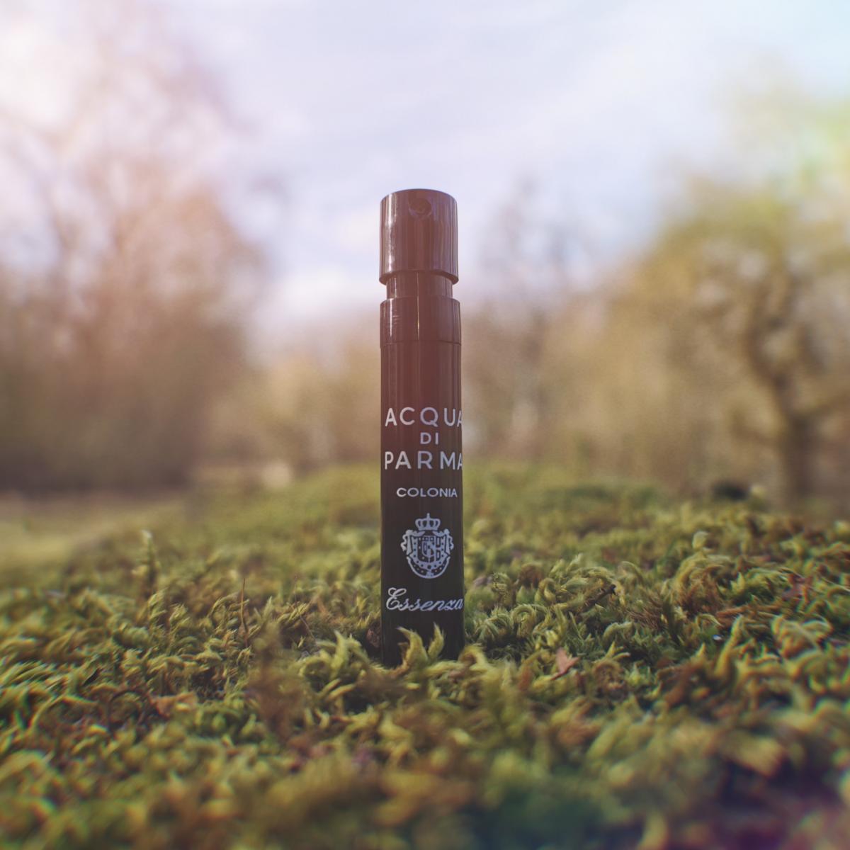 Essenza di Colonia Acqua di Parma cologne - a fragrance for men 2010