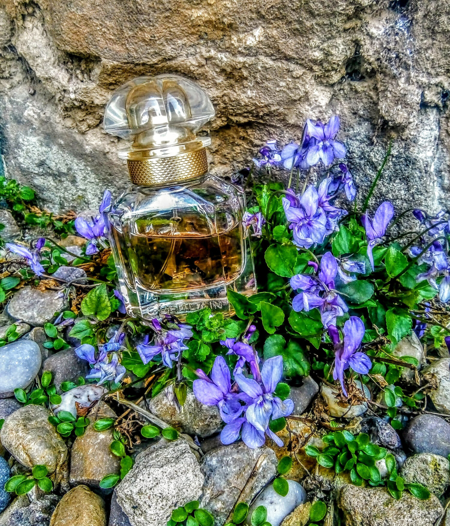 Mon Guerlain Guerlain perfume - a fragrance for women 2017