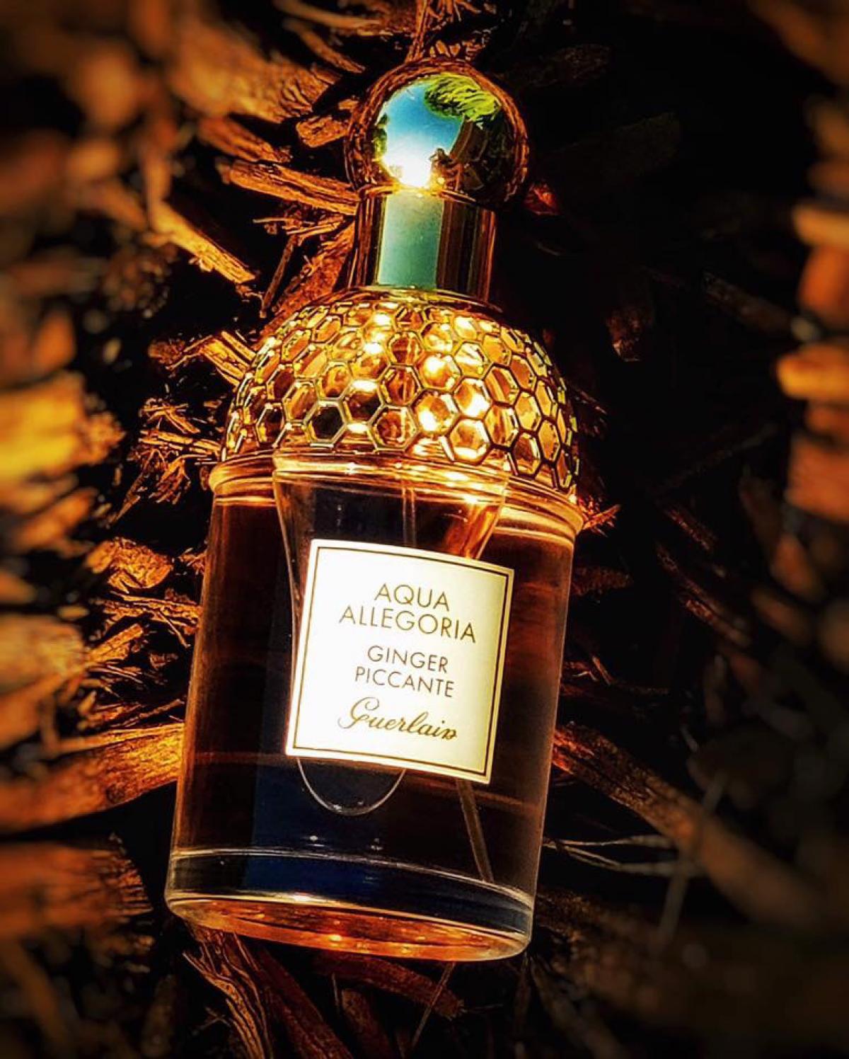 Aqua Allegoria Ginger Piccante Guerlain perfume - a fragrance for women ...