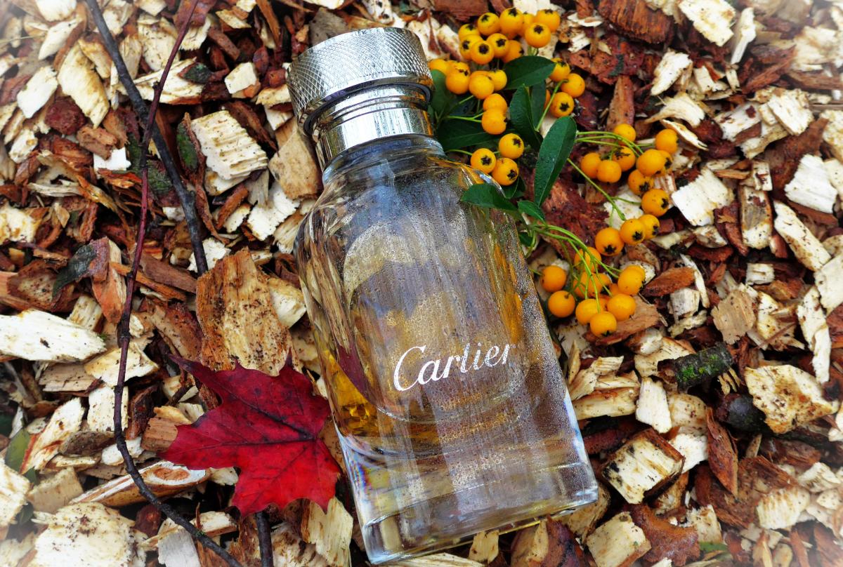 L'Envol de Cartier Eau de Parfum Cartier Colonia - una fragancia para ...