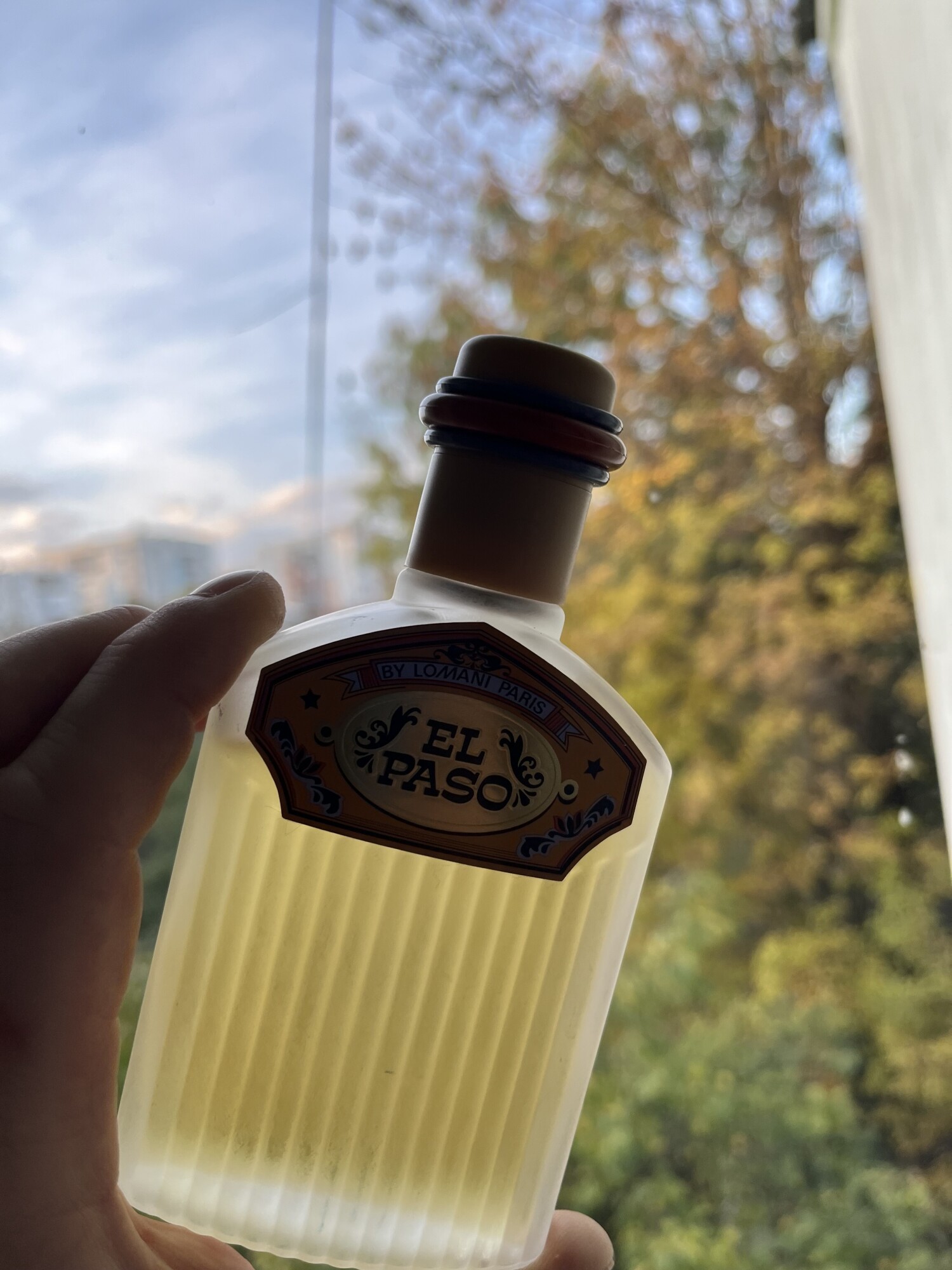 El Paso Lomani cologne - a fragrance for men 2002