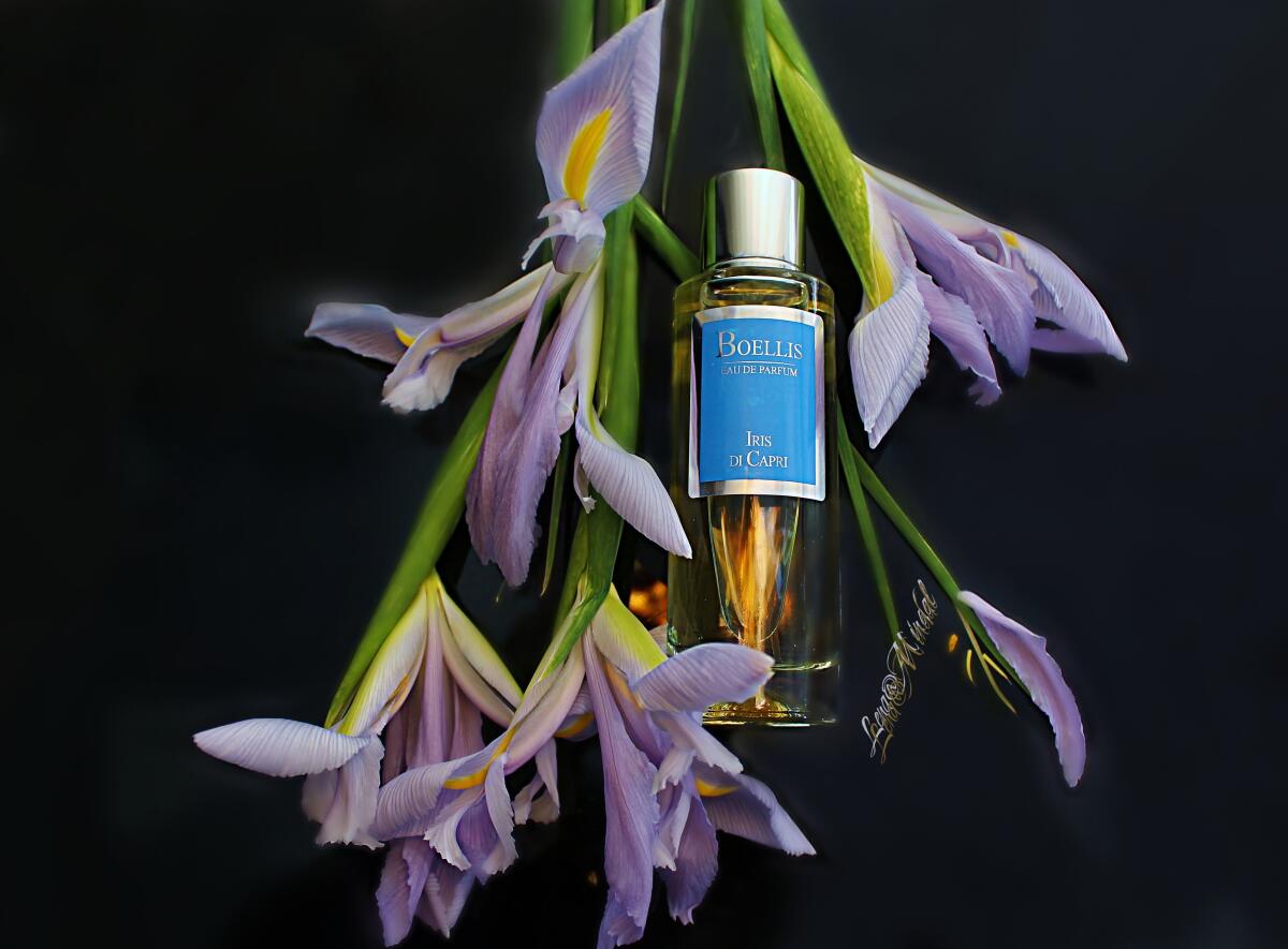 Iris di Capri Boellis perfume - a fragrance for women and men 2018