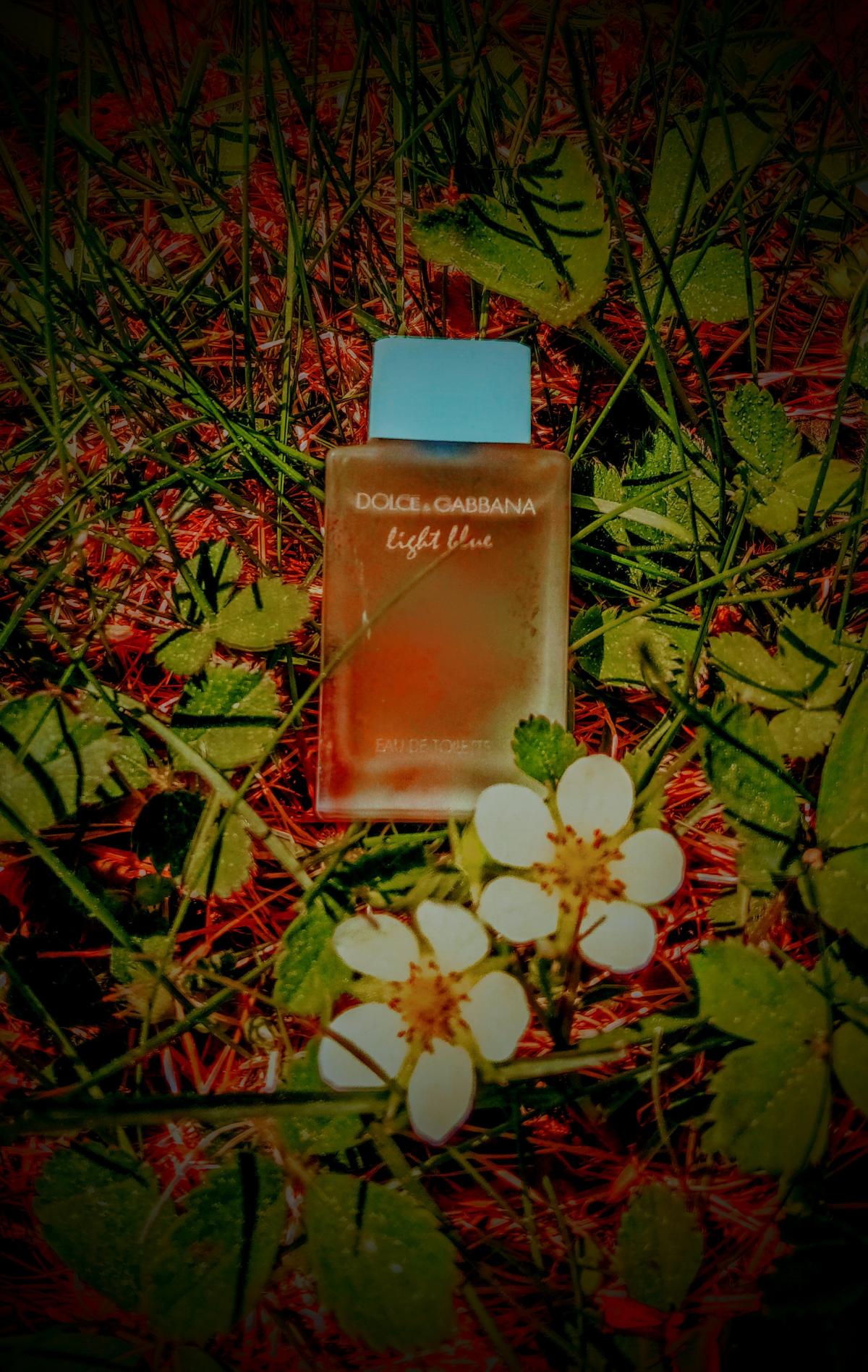 Light Blue Dolce&Gabbana perfume - a fragrance for women 2001