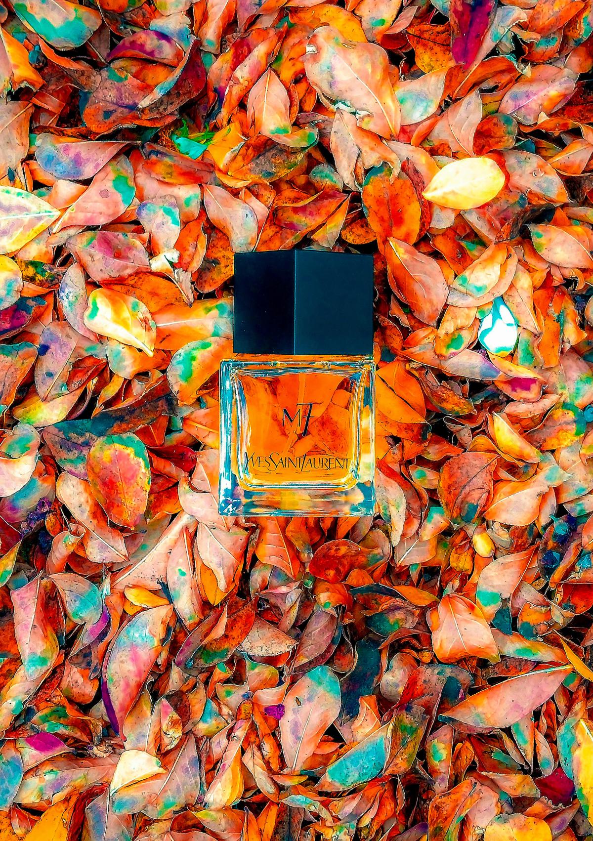 M7 Yves Saint Laurent cologne - a fragrance for men 2002