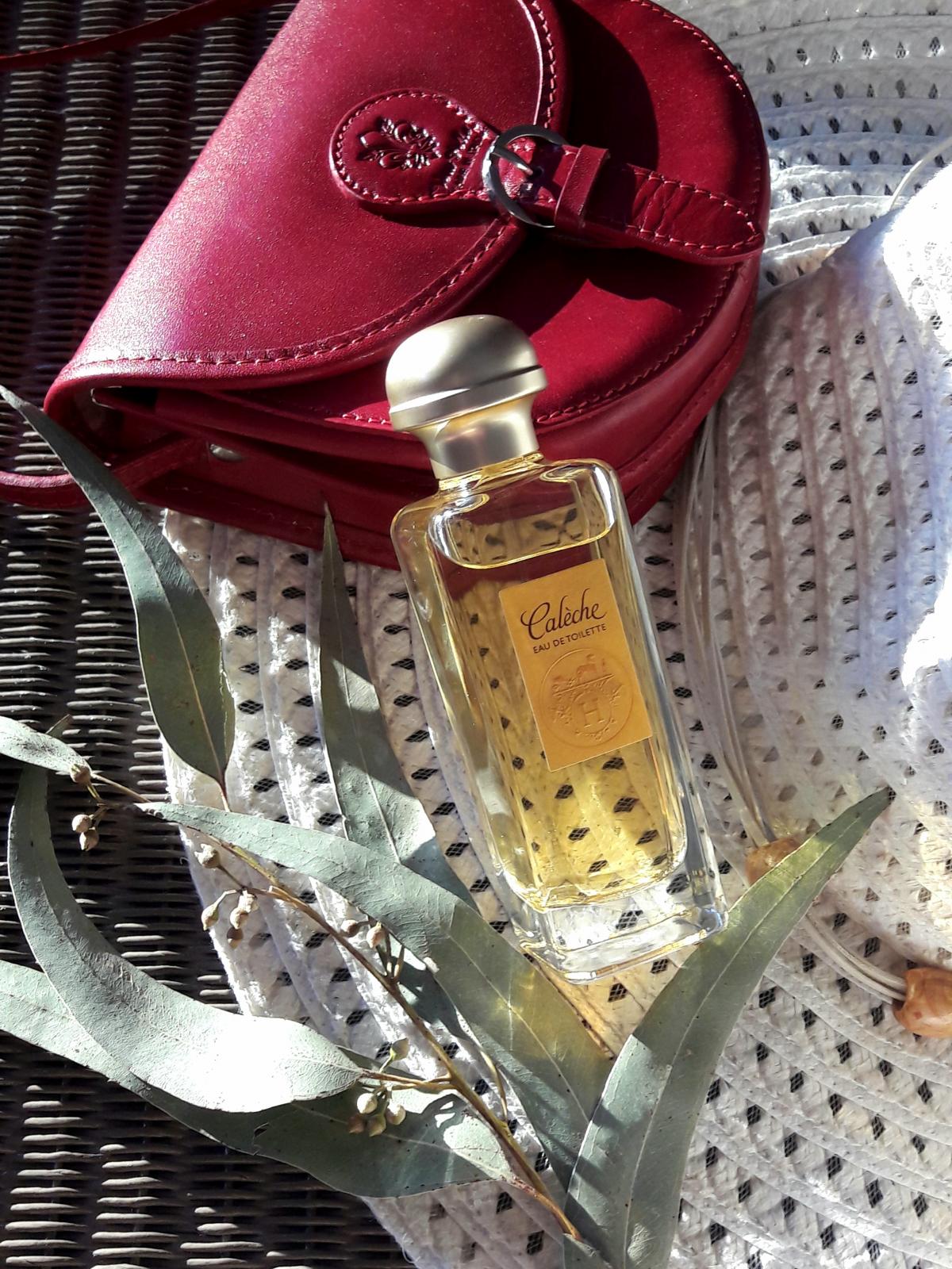 Caleche Hermès perfume - a fragrance for women 1961