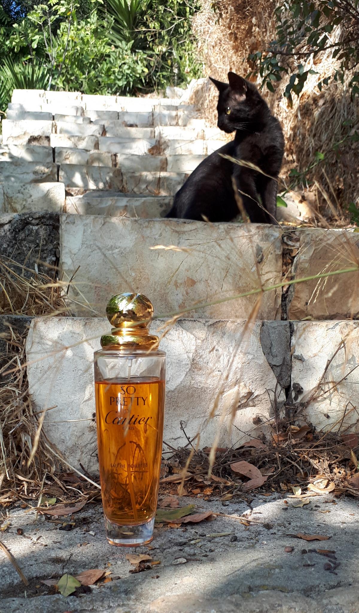 So Pretty Cartier perfume - a fragrance for women 1995