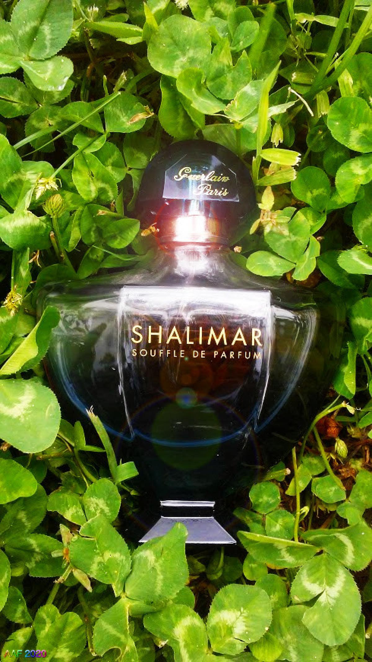 Shalimar Souffle de Parfum Guerlain perfume - a fragrance for women 2014