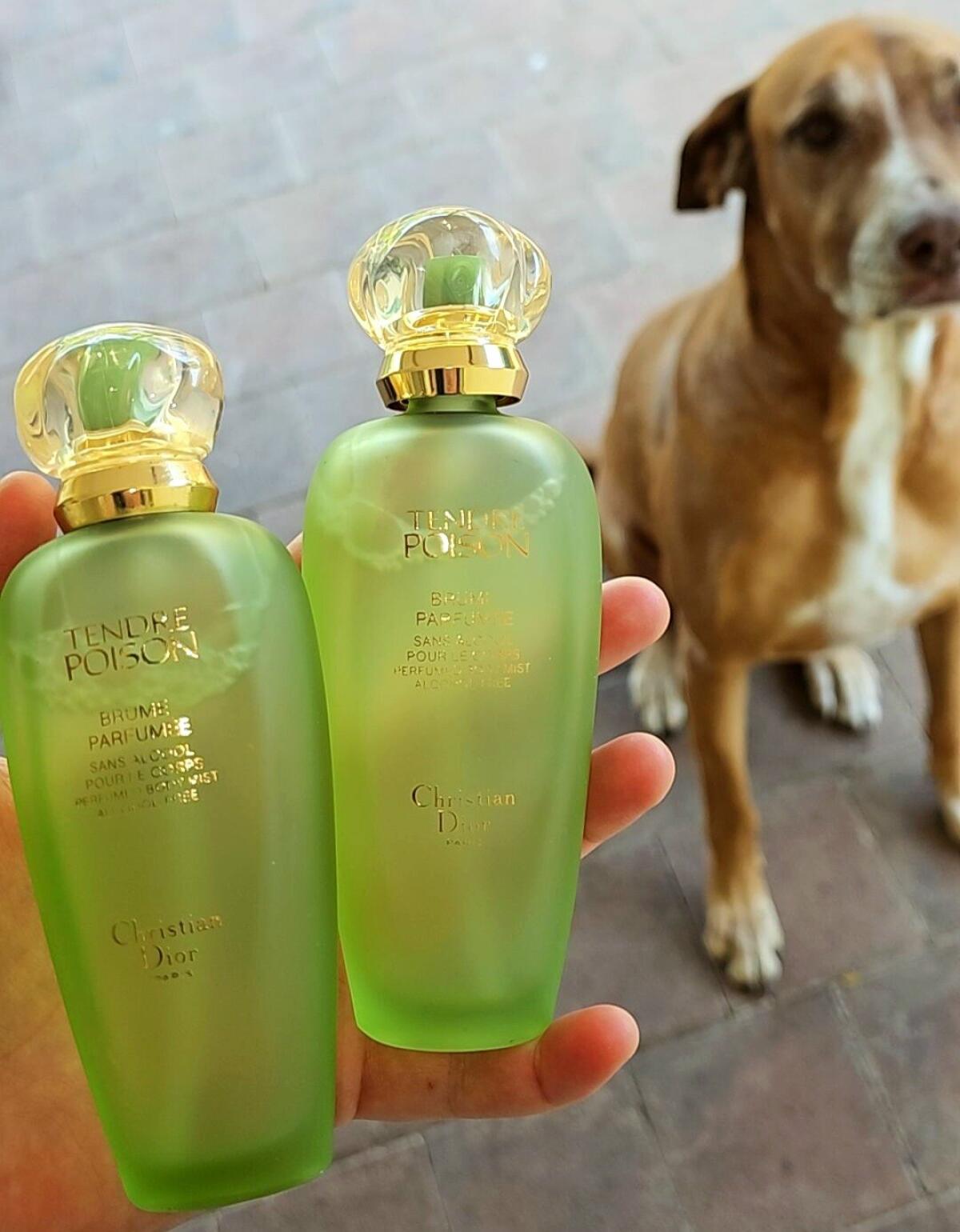 Tendre Poison Dior perfume - a fragrance for women 1994