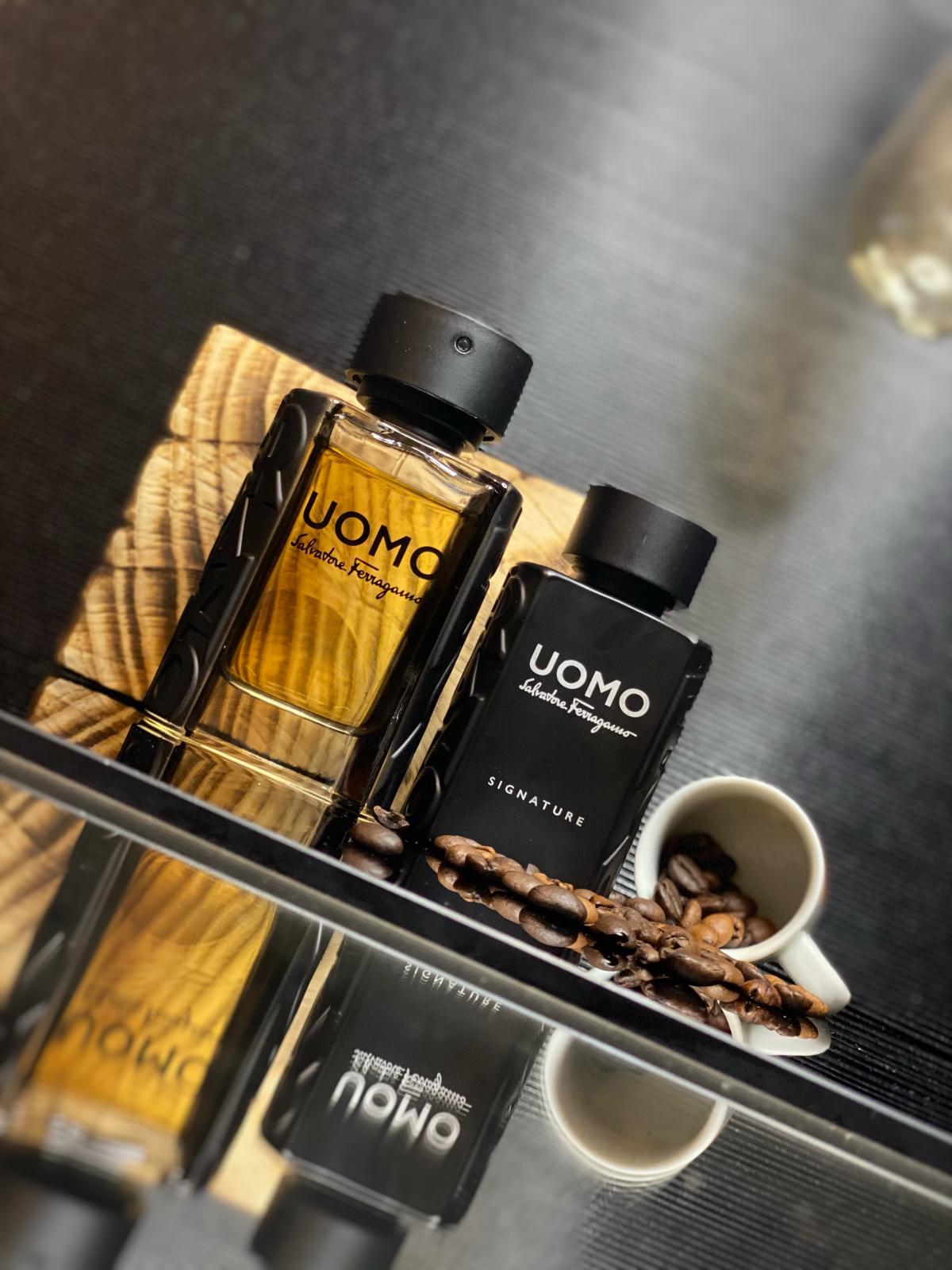 Uomo Salvatore Ferragamo Salvatore Ferragamo cologne - a fragrance for ...
