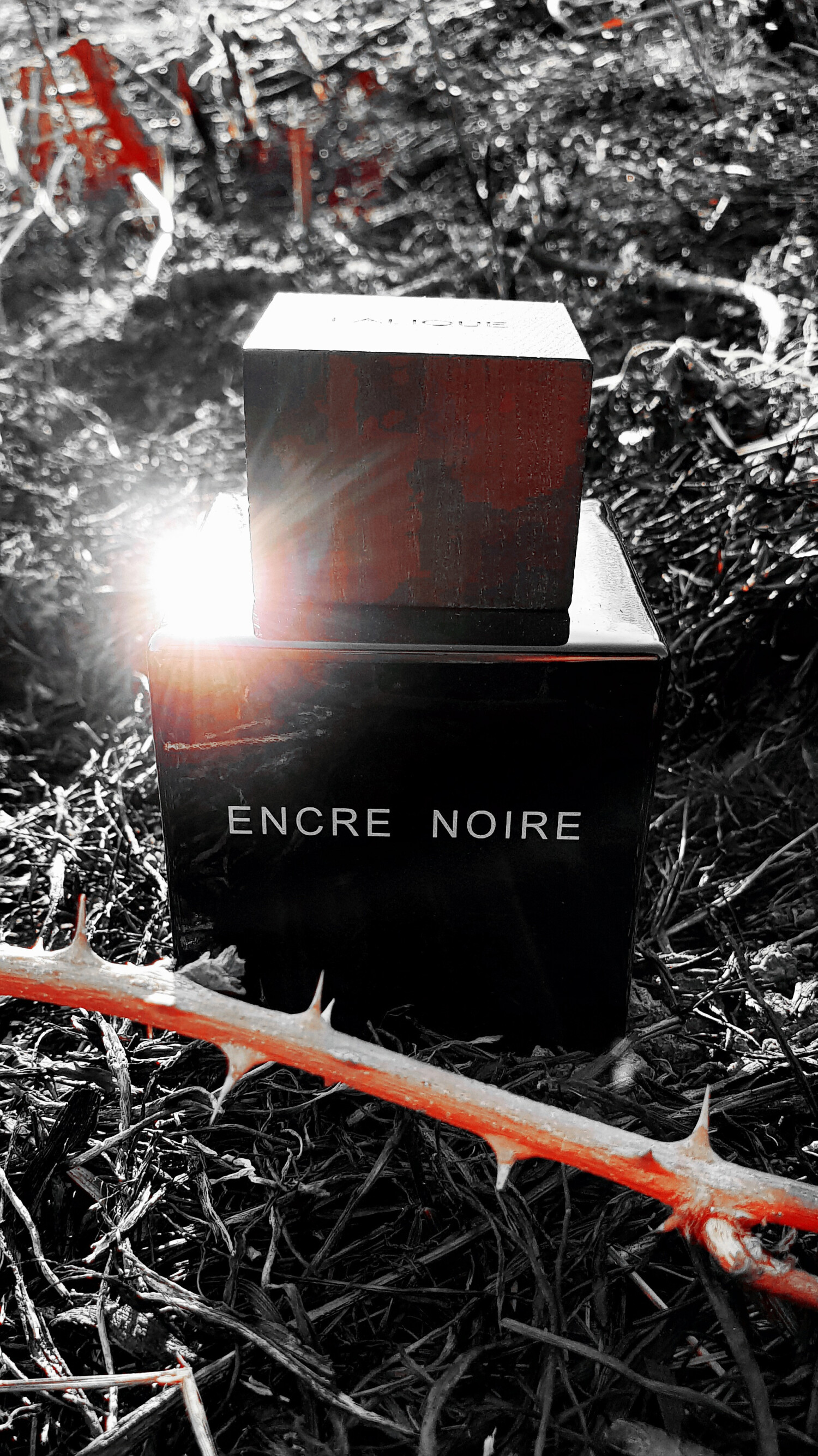 Encre Noire Lalique cologne - a fragrance for men 2006