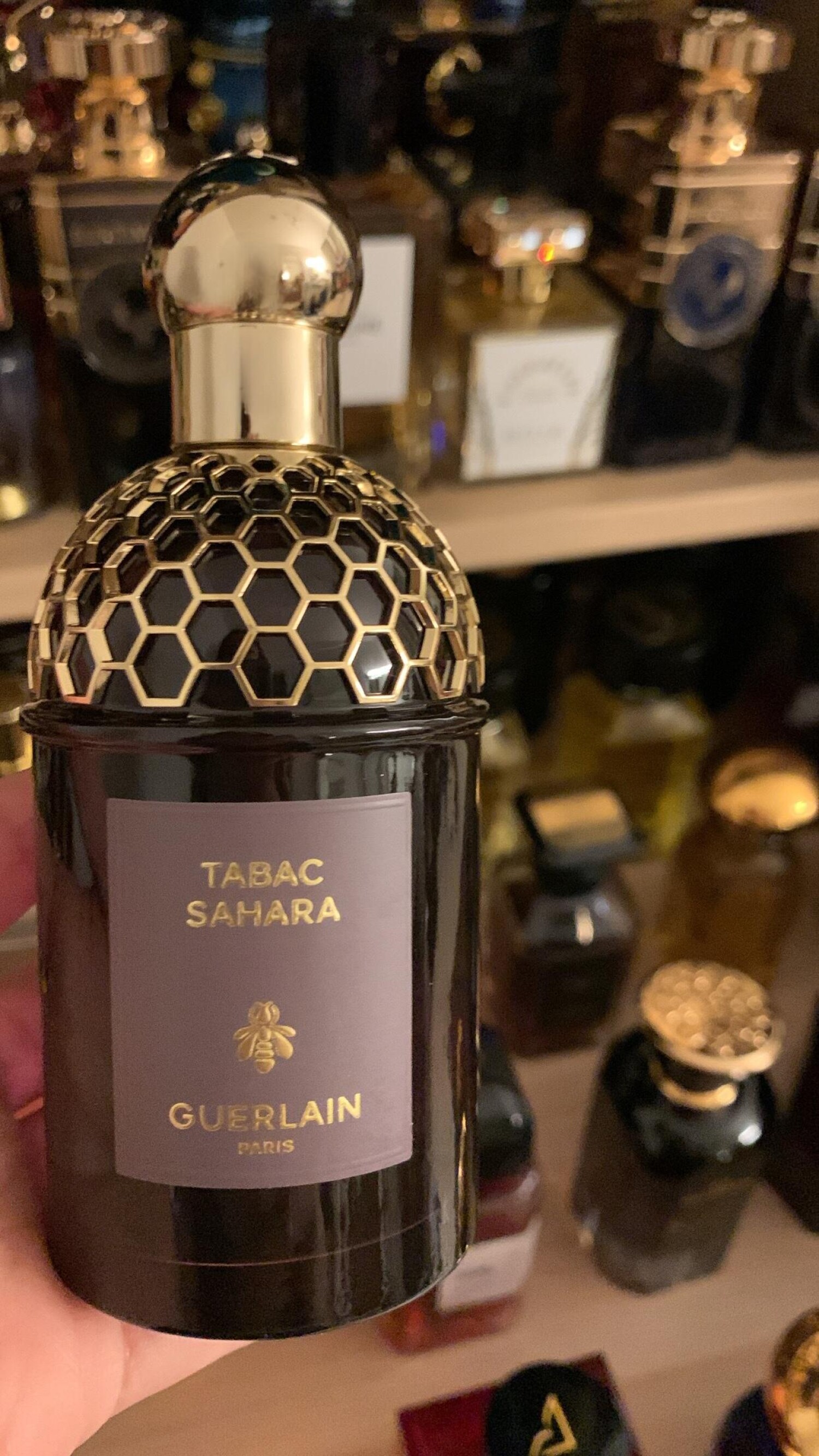 Tabac Sahara Guerlain parfum - un nouveau parfum pour homme et femme 2026