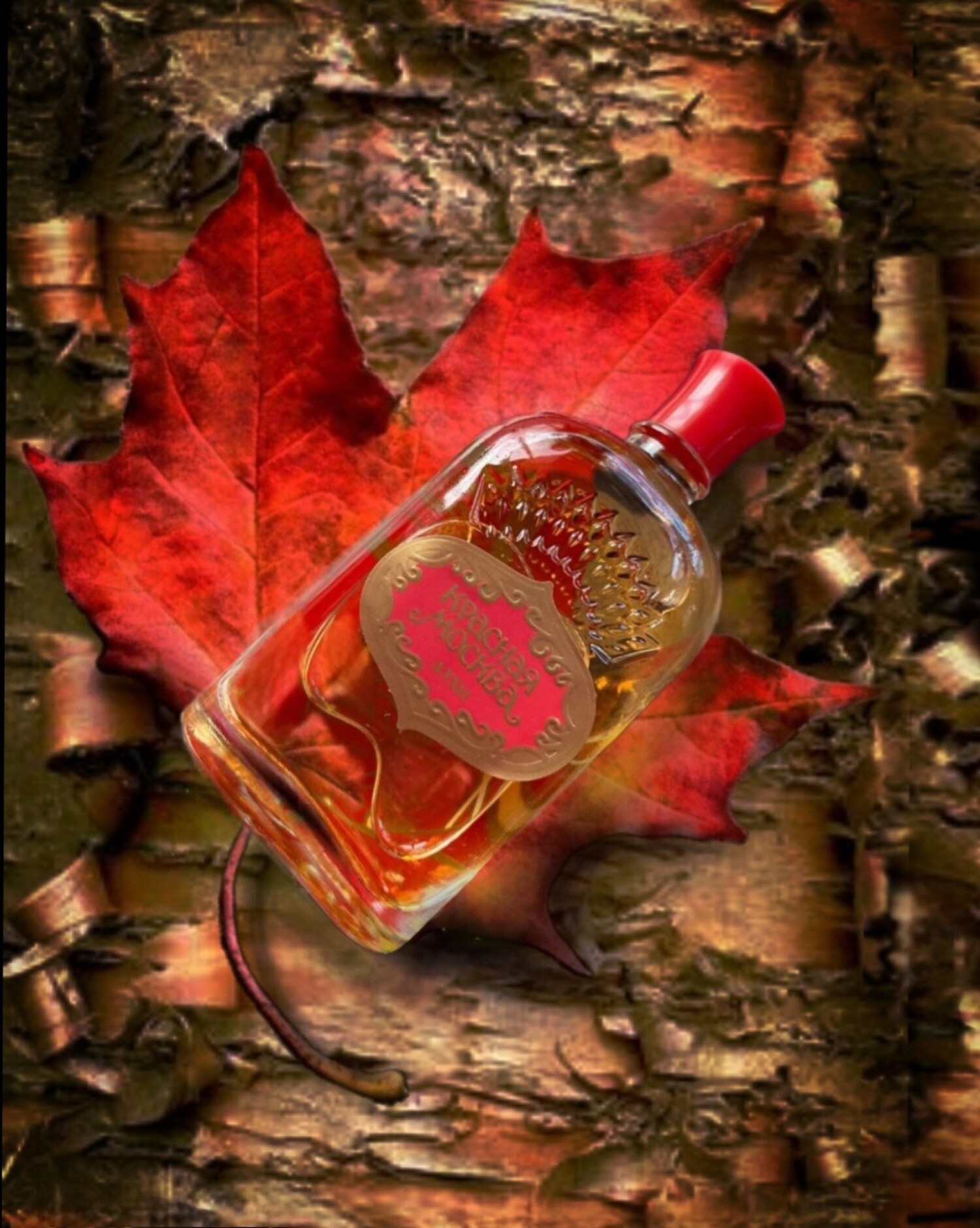 Красная Москва (Red Moscow) Новая Заря (The New Dawn) perfume - a ...
