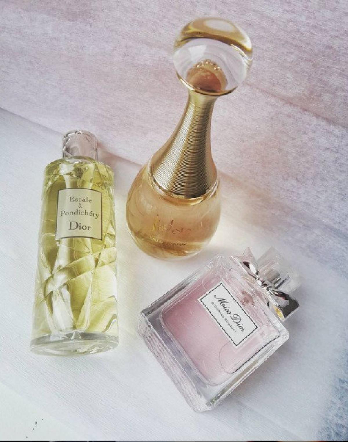 J'adore Dior perfume - a fragrance for women 1999