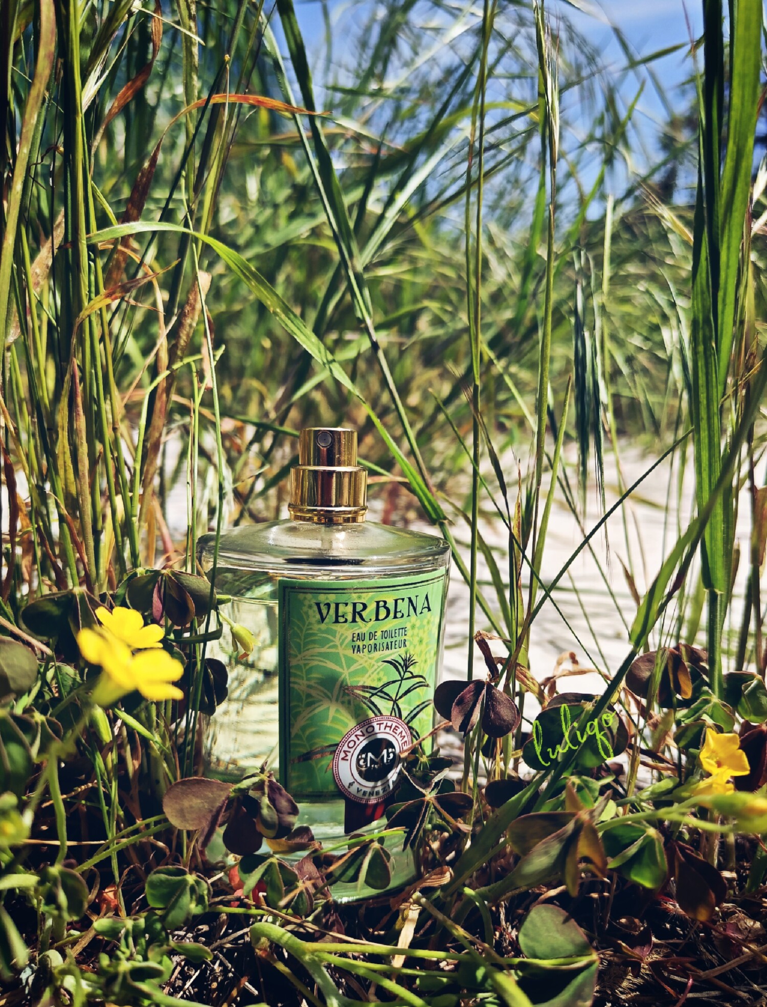 Verbena Monotheme Venezia perfume - a fragrância Compartilhável 2016