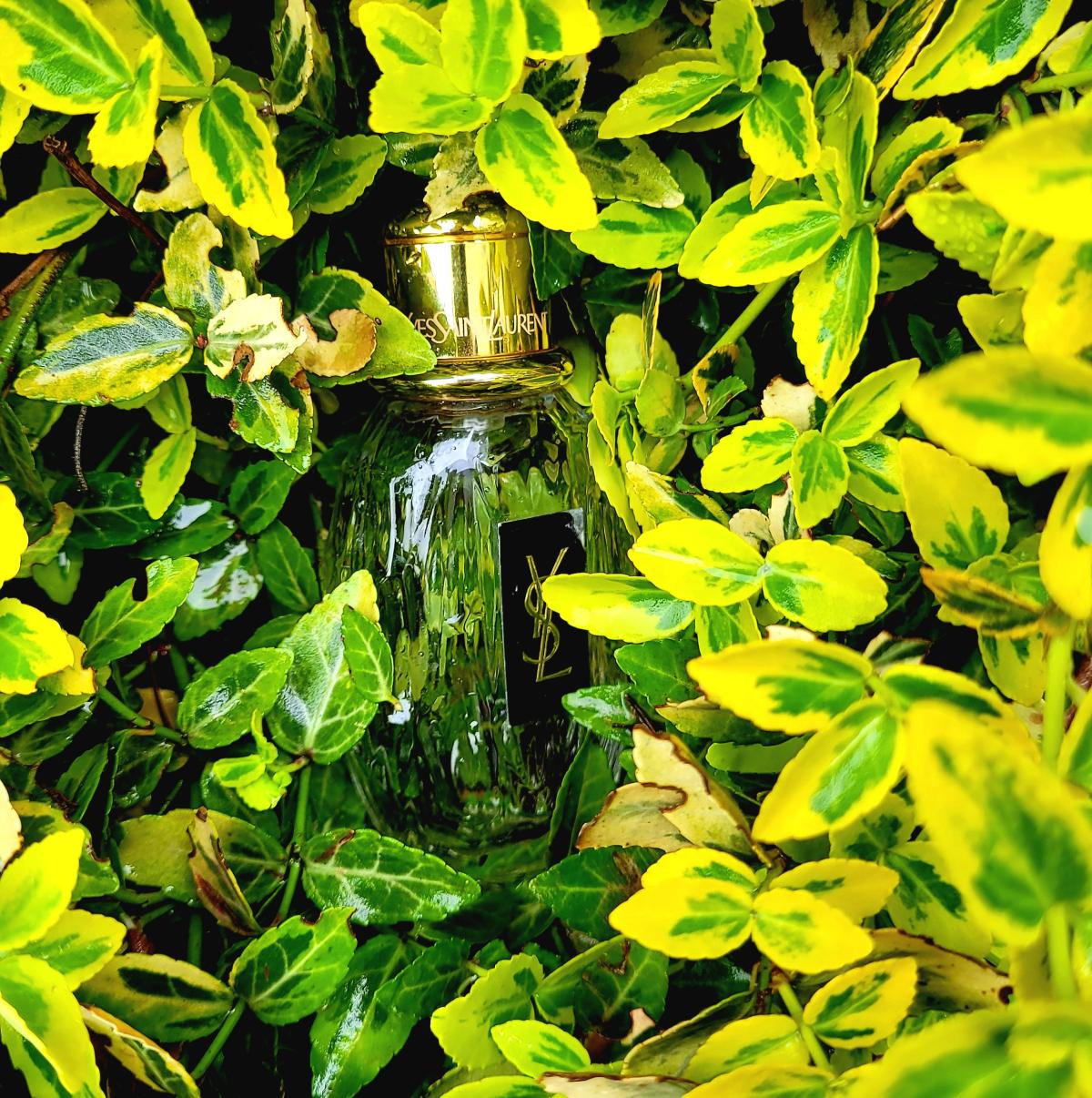 Parisienne Yves Saint Laurent perfume - a fragrance for women 2009