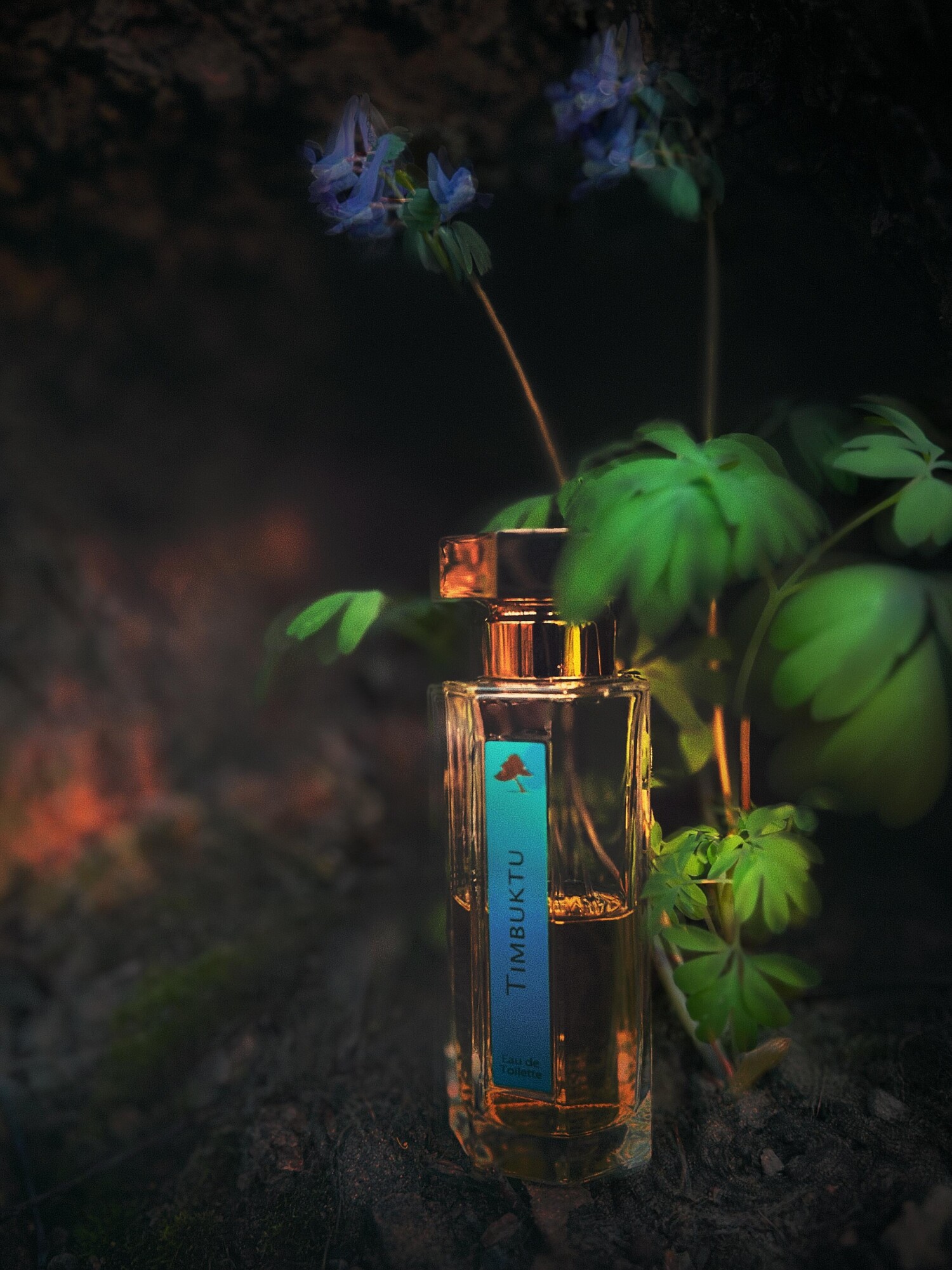 Timbuktu L'Artisan Parfumeur perfume - a fragrance for women and men 2004