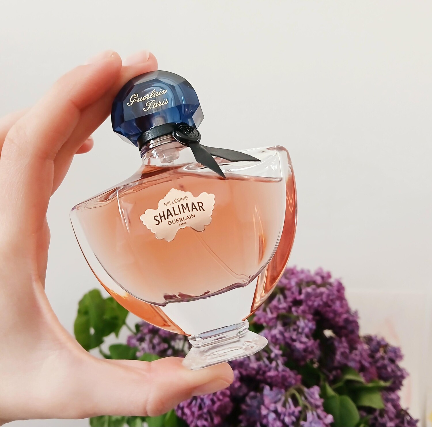 Shalimar Millesime Rose Guerlain perfume - a new fragrance for women 2026