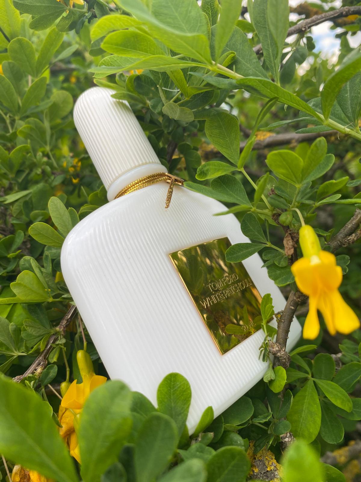 White Patchouli Tom Ford perfume - a fragrância Feminino 2008