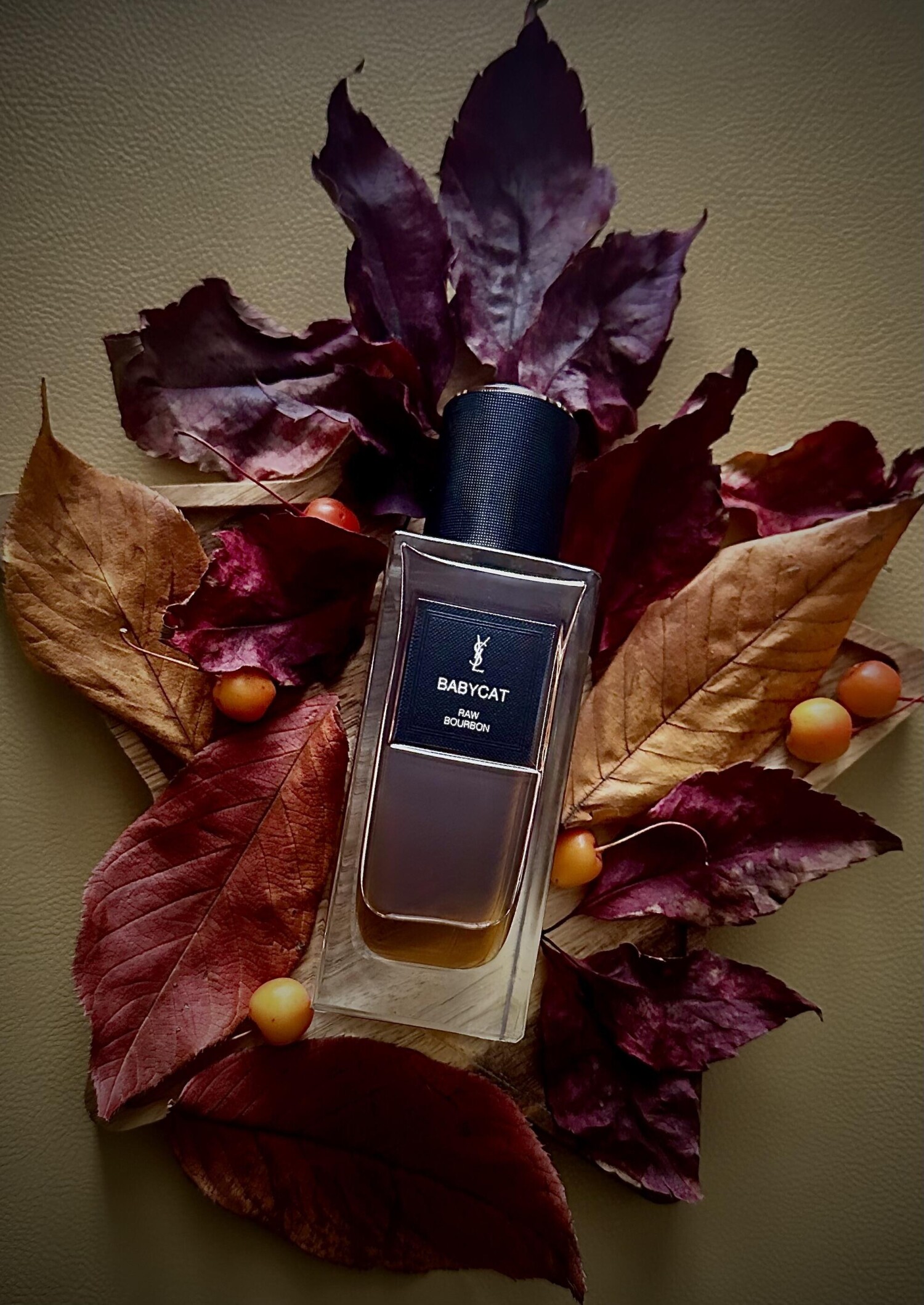 Babycat Raw Bourbon Yves Saint Laurent perfume - a new fragrance for ...