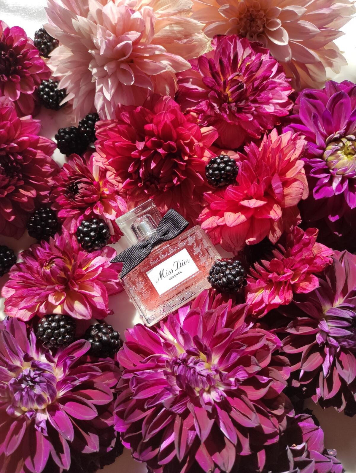 Miss Dior Essence Dior perfume - a new fragrance for women 2025