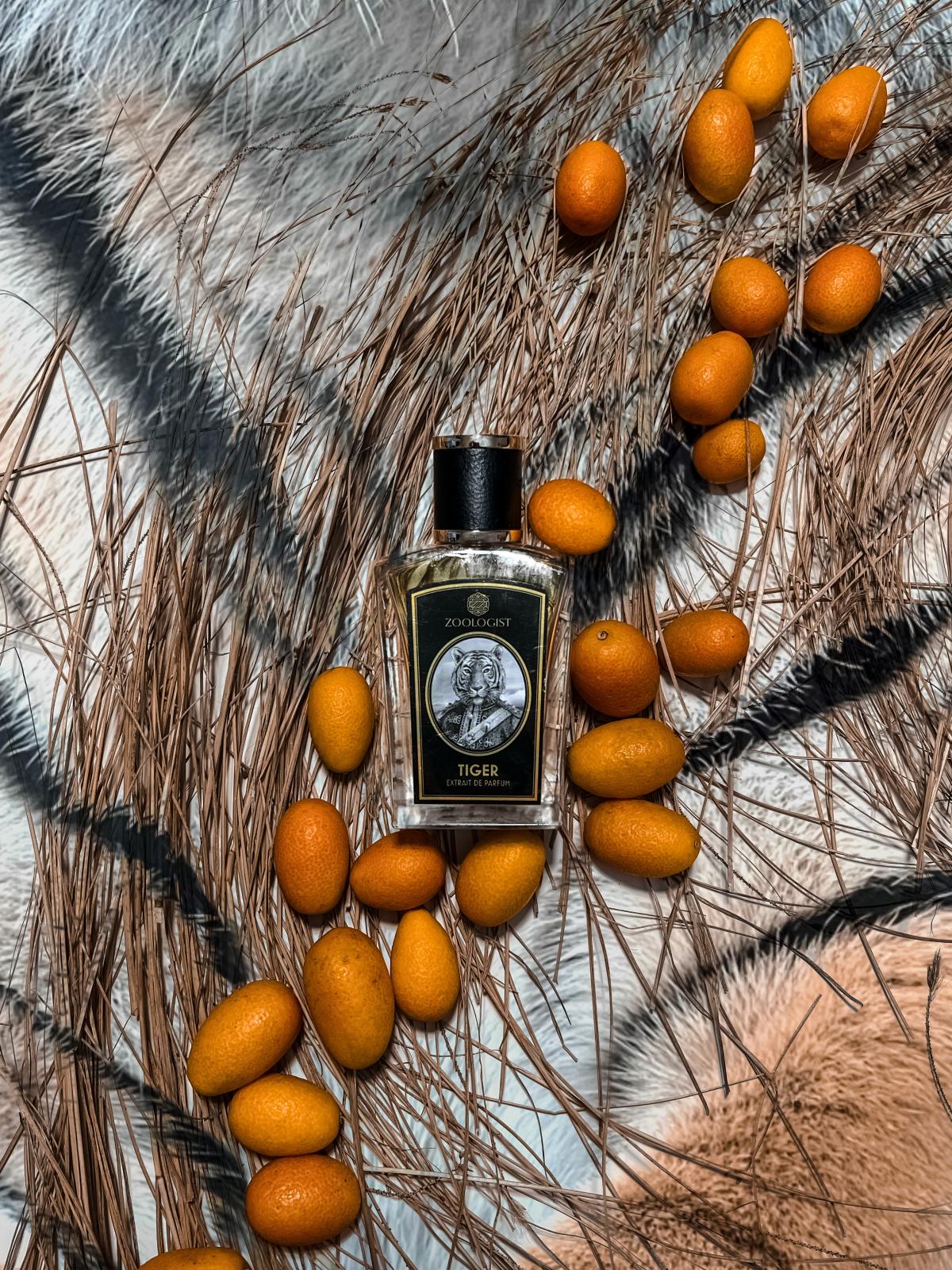 Tiger Zoologist Perfumes בושם - הינו ניחוח חדש 2023 לנשים וגברים