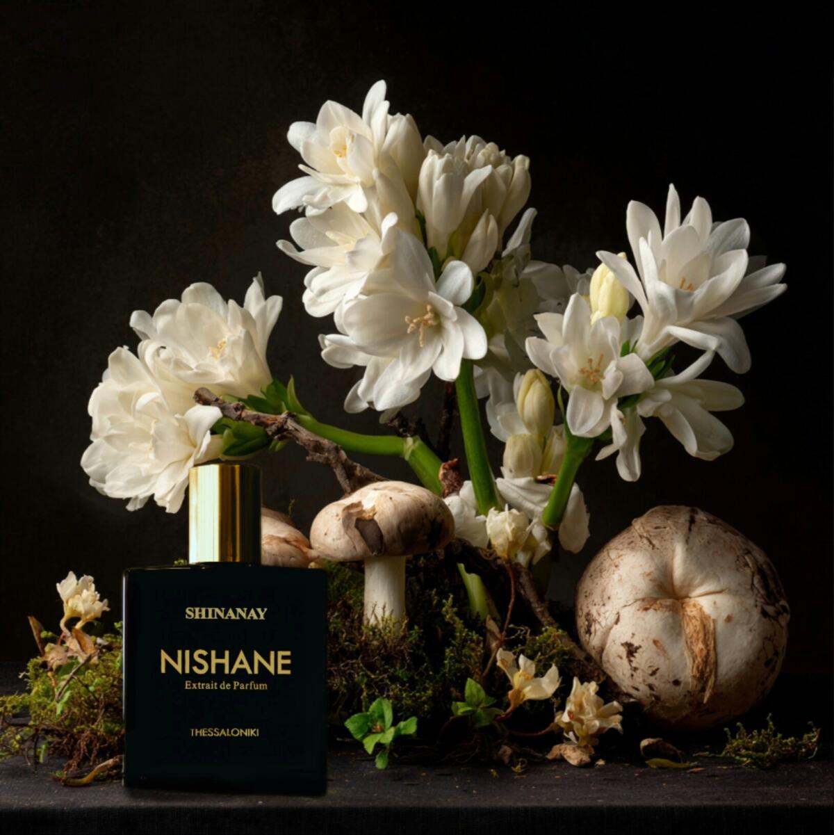 Shinanay Nishane perfume - a new fragrance for women and men 2024