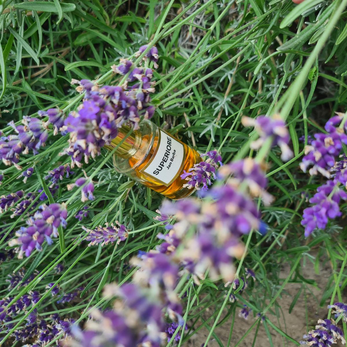 Superiore JAN BARBA perfumy - to perfumy dla kobiet i mężczyzn 2018 Superiore JAN BARBA perfumy - to perfumy dla kobiet i mężczyzn 2018