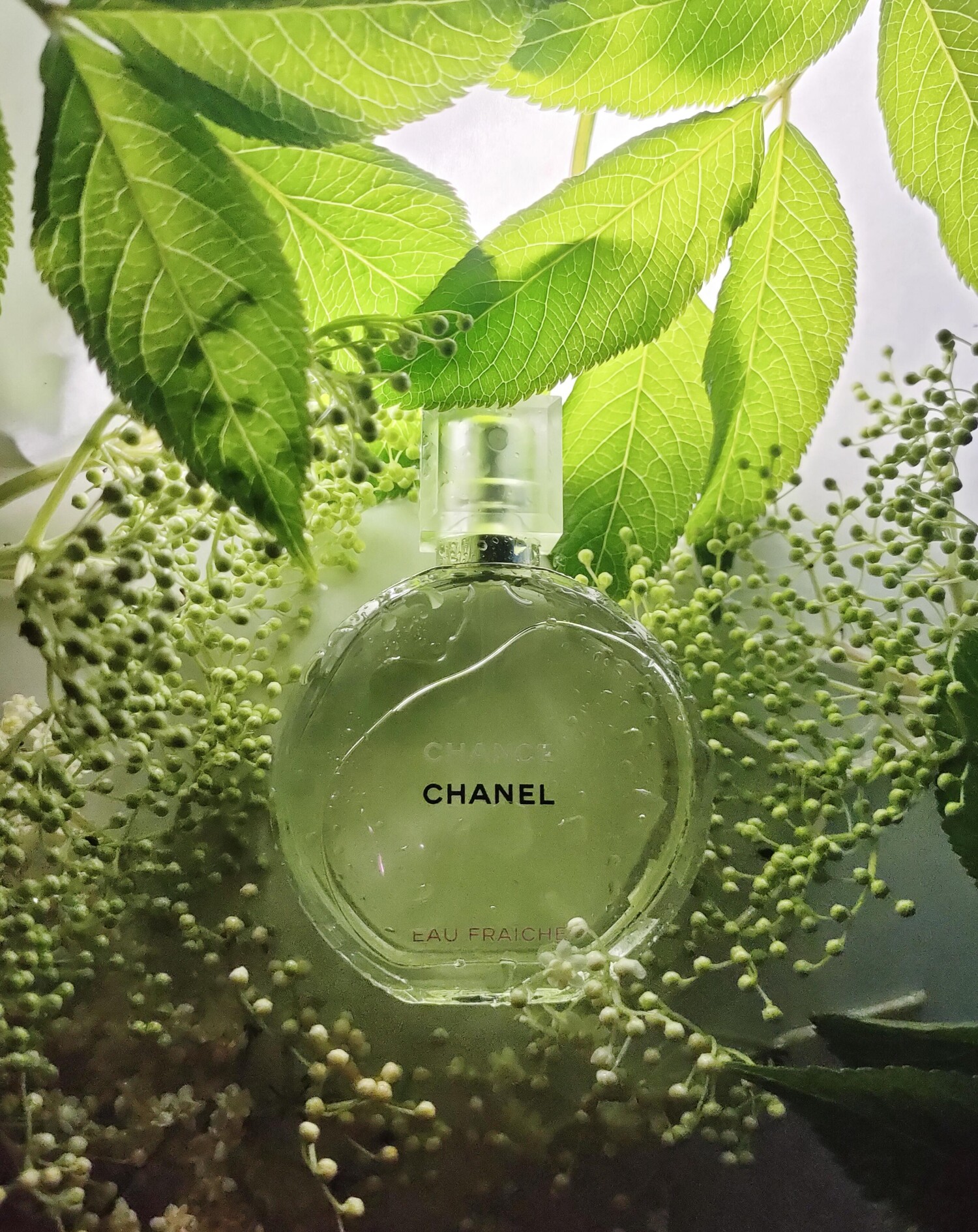 Chance Eau Fraiche Chanel perfume - a fragrance for women 2007