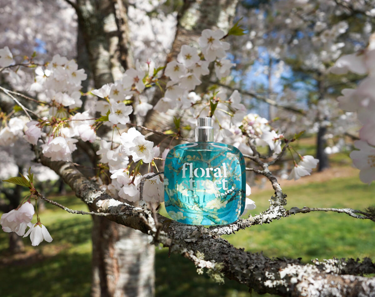 Sweet Almond Blossom Floral Street perfume - a fragrance for women and ...