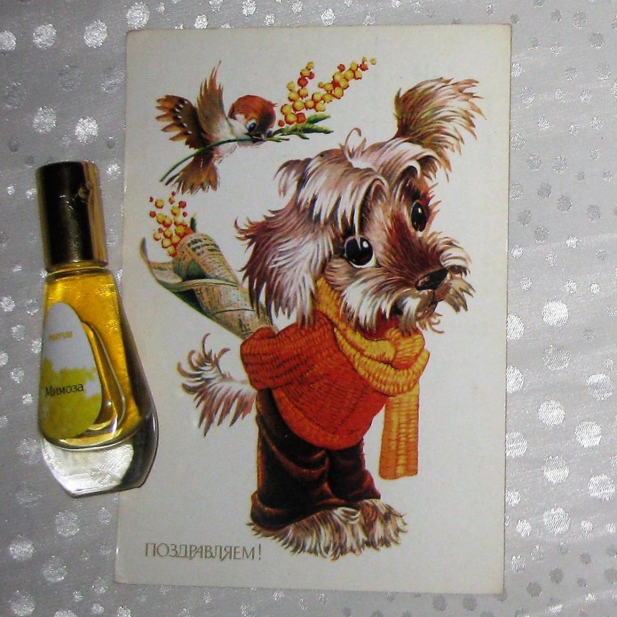 Mimoza Dilís Parfum perfume - a fragrance for women 2006