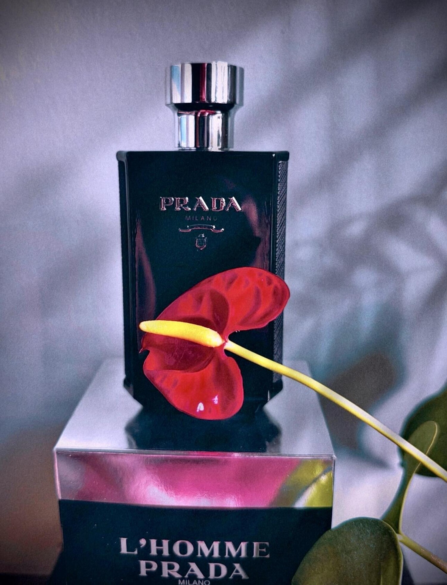 Prada L'Homme Intense Prada cologne - a fragrance for men 2017