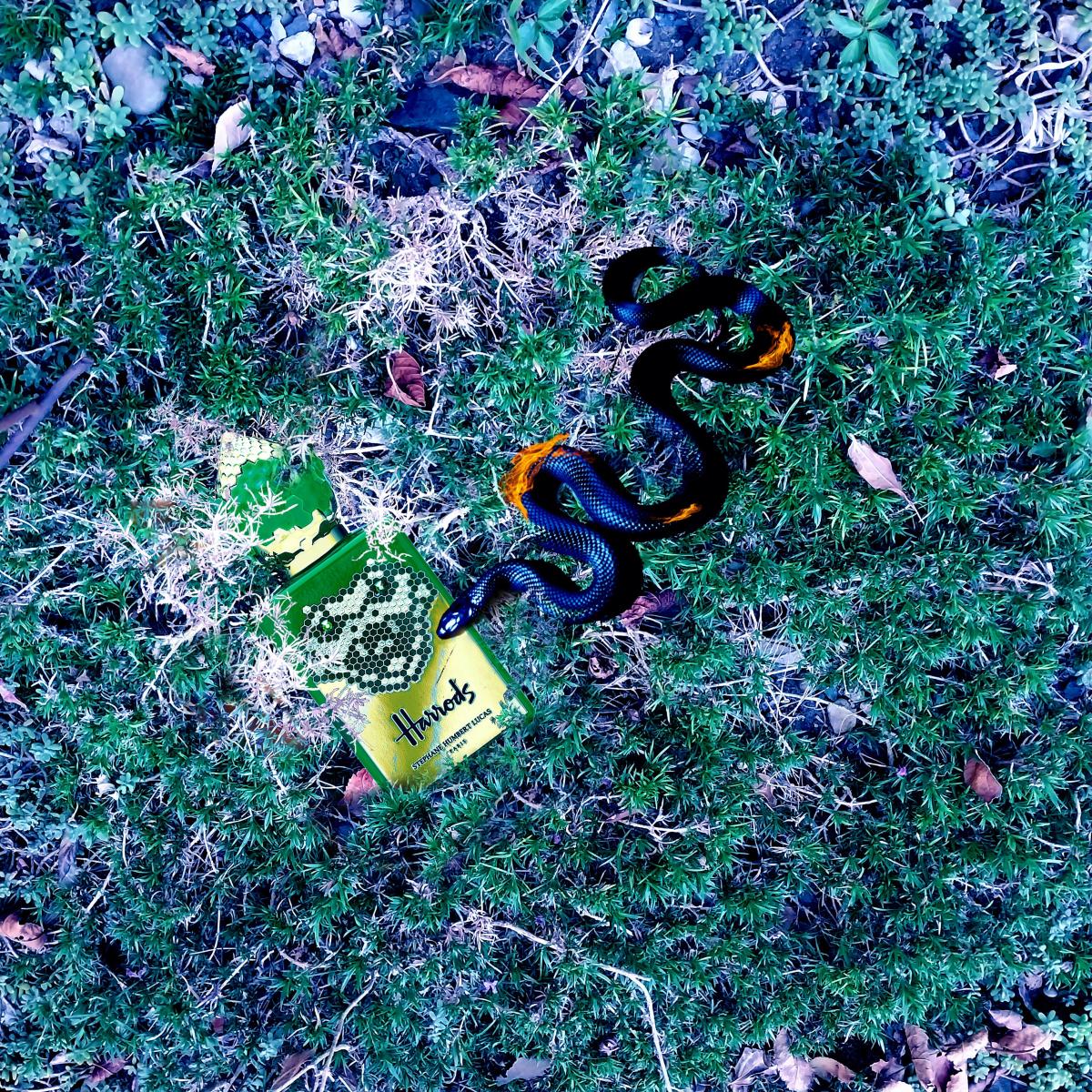 Harrods H Mamba Stéphane Humbert Lucas 777 perfume - a fragrance for ...