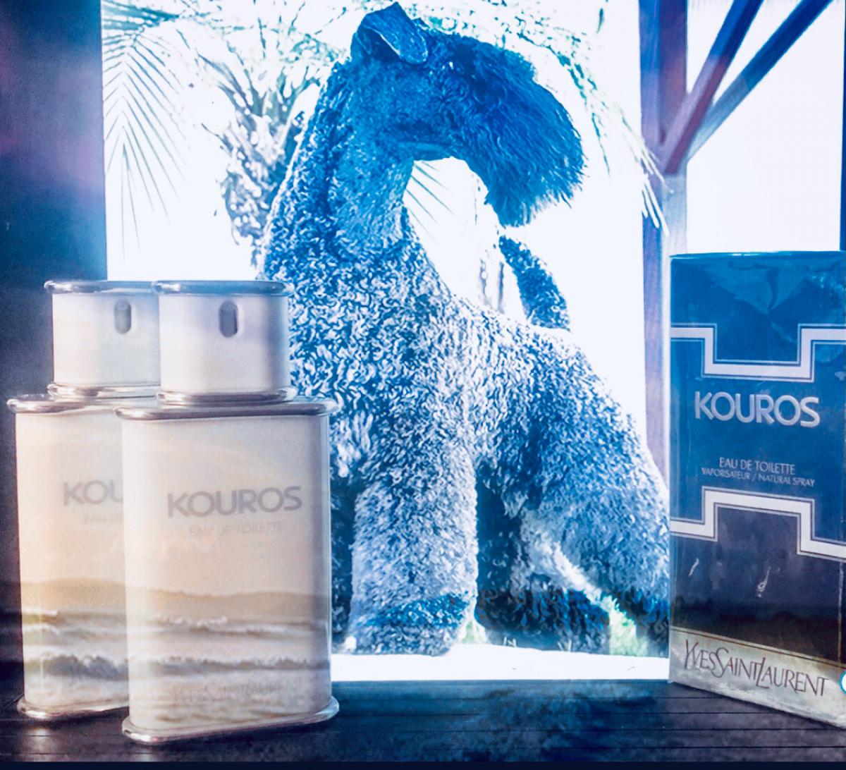 Kouros Yves Saint Laurent cologne - a fragrance for men 1981